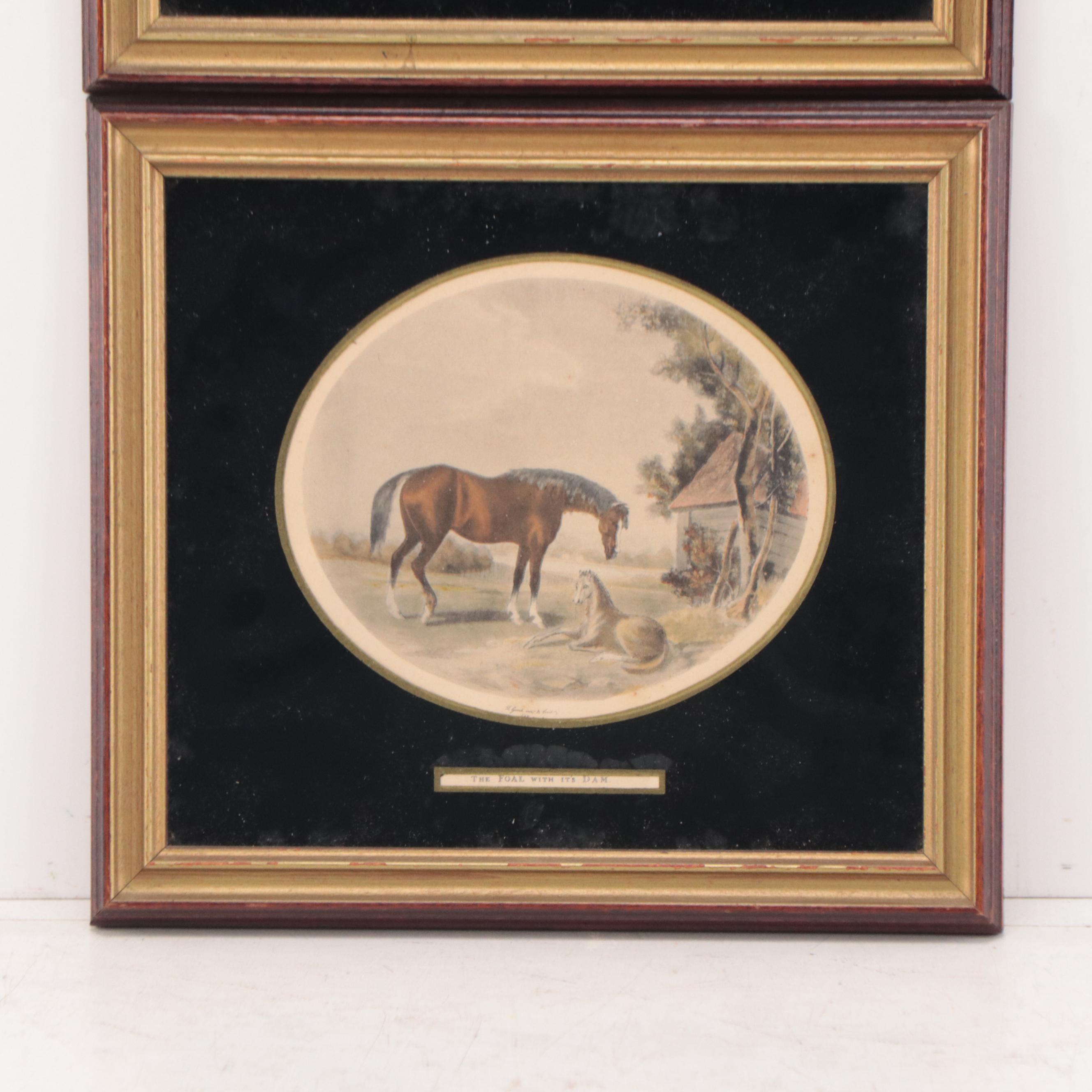 Hand-Colored Collotypes of Equestrian Scenes, Late 20th Century | EBTH