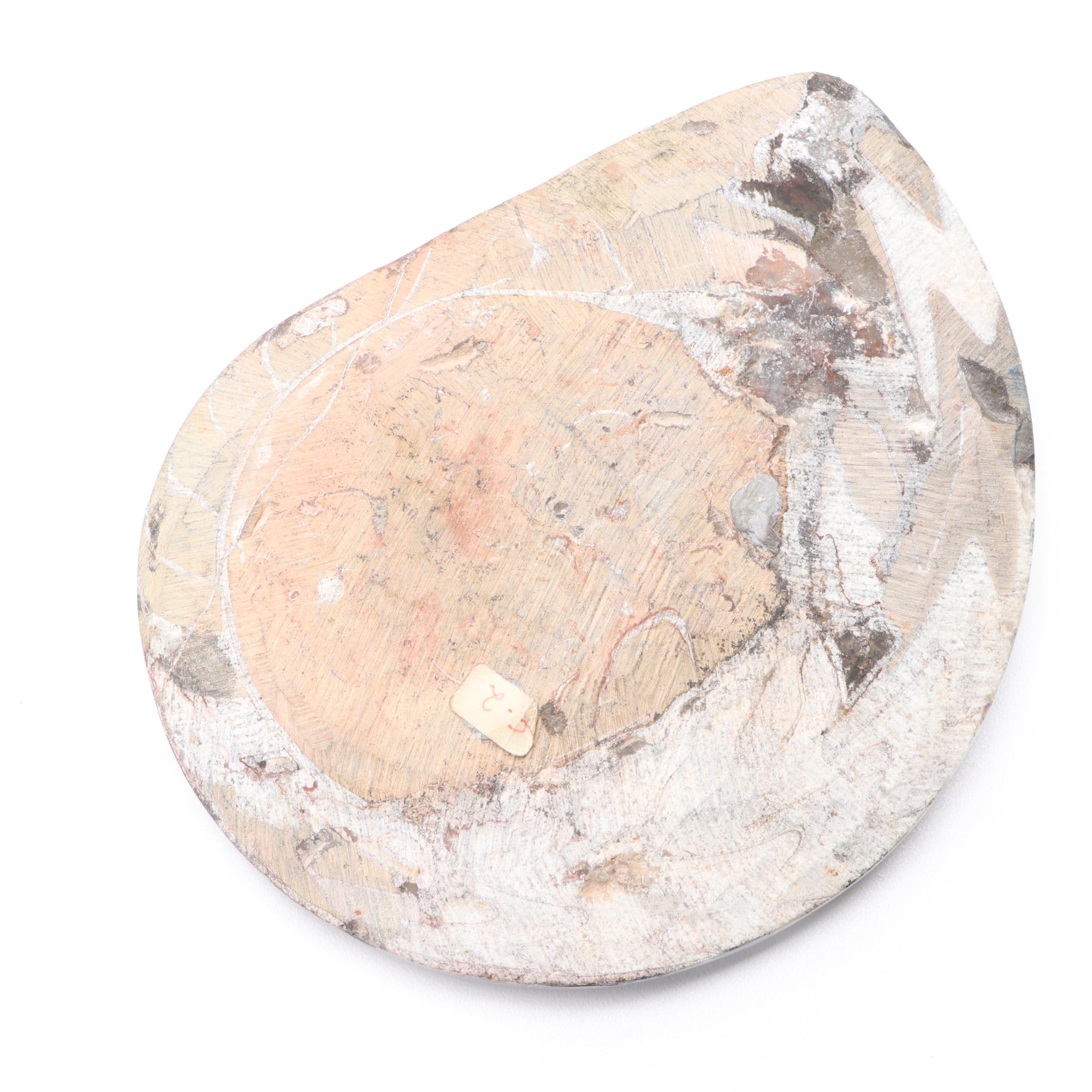 Polished Ammonite Fossil with Raw Citrine Quartz Geode Fragments | EBTH