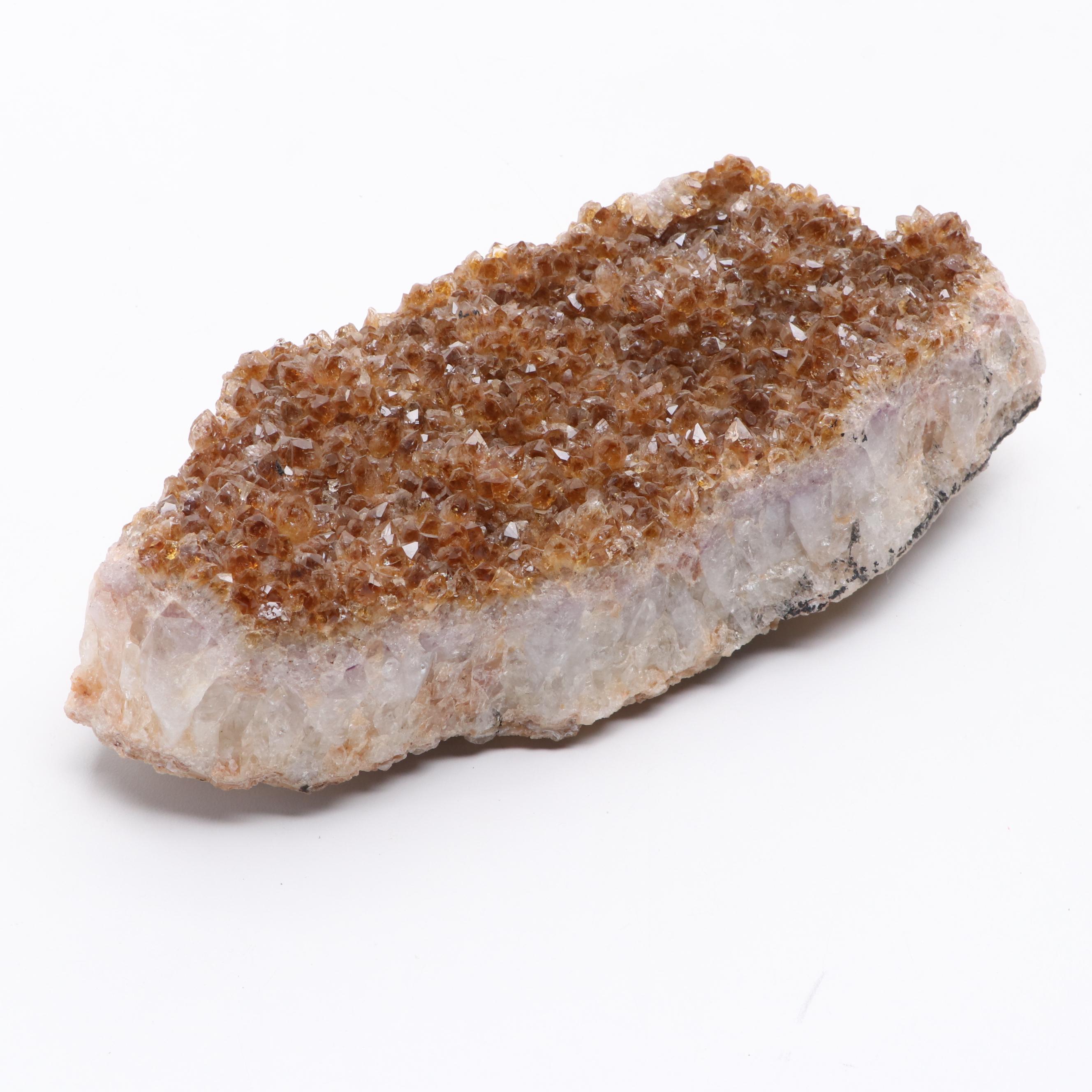 Polished Ammonite Fossil with Raw Citrine Quartz Geode Fragments | EBTH