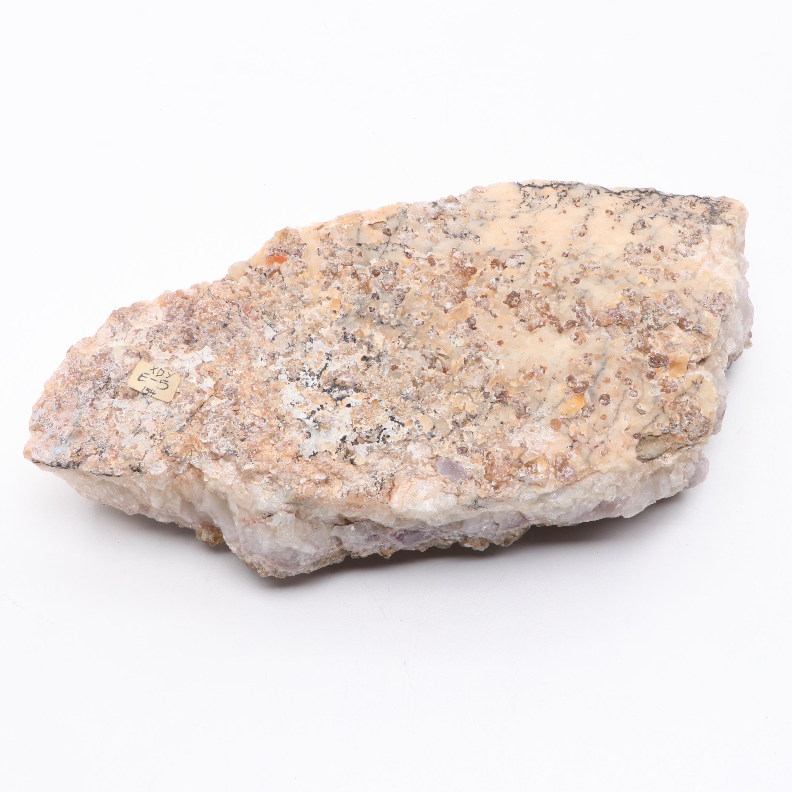 Polished Ammonite Fossil with Raw Citrine Quartz Geode Fragments | EBTH