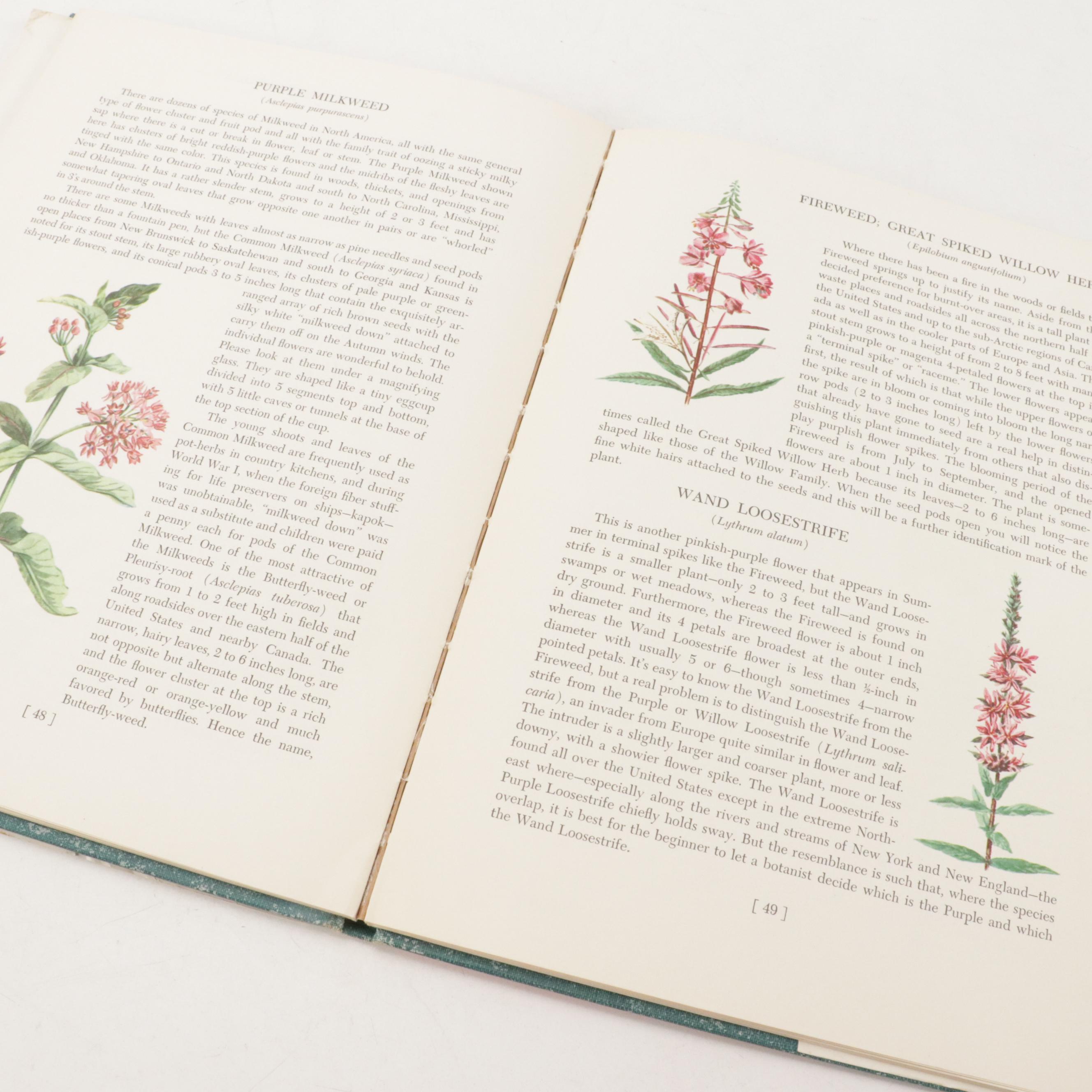 Illustrated "An Introduction to Nature" Three-Volume Set by John Kieran ...