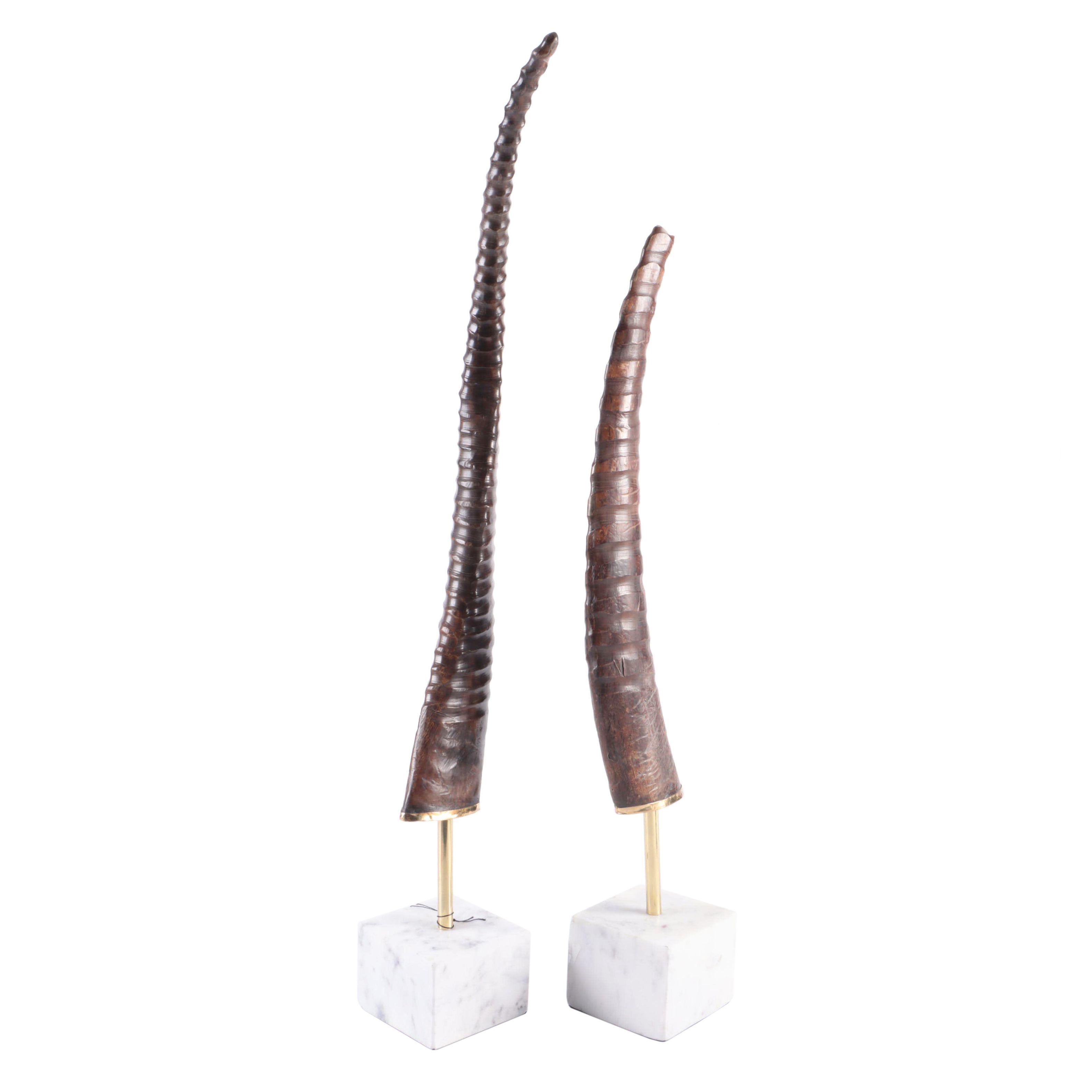 Polished Ribbed Antelope Horns with Marble Bases | EBTH