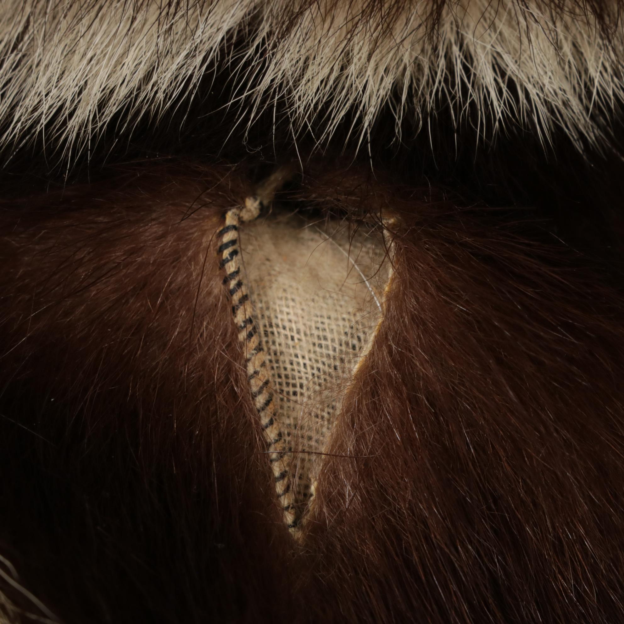 Zorina (Skunk) Fur Coat | EBTH