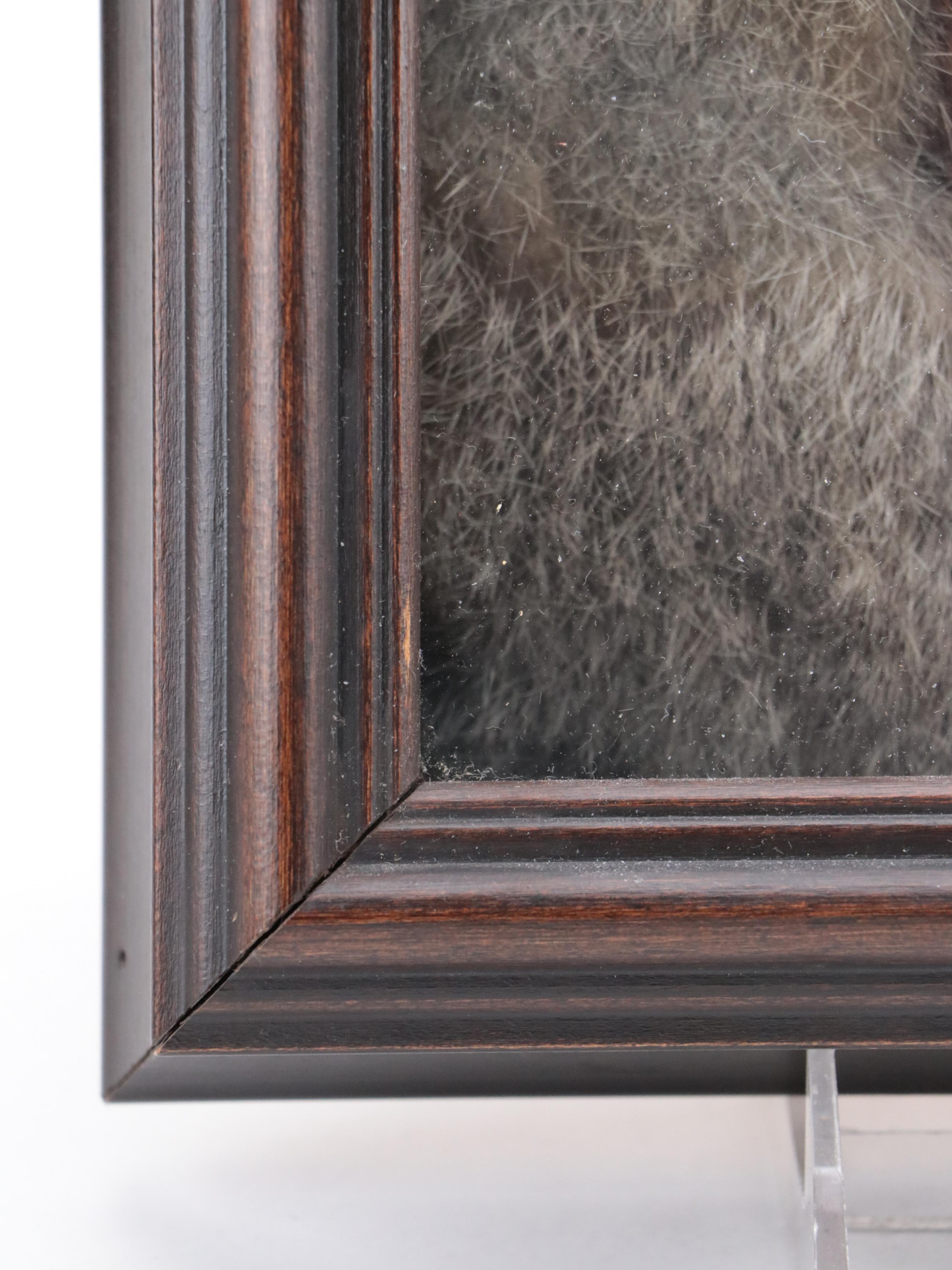 Neil J. Rose "Dark Moon" and "Whirlwind" Mixed Media Shadowbox ...