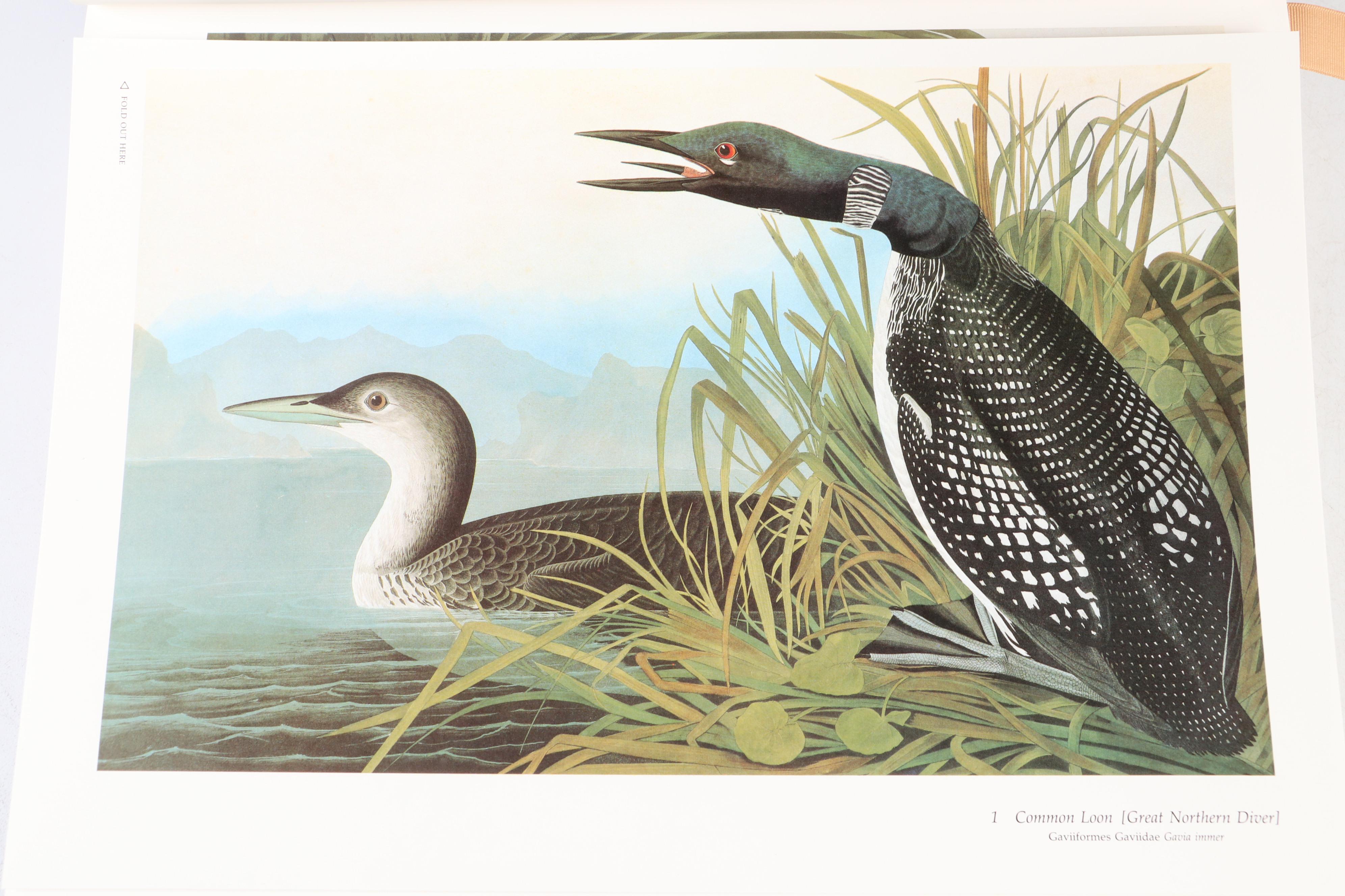 Audubon Society Baby Elephant Folio "Birds of America" by the Petersons ...