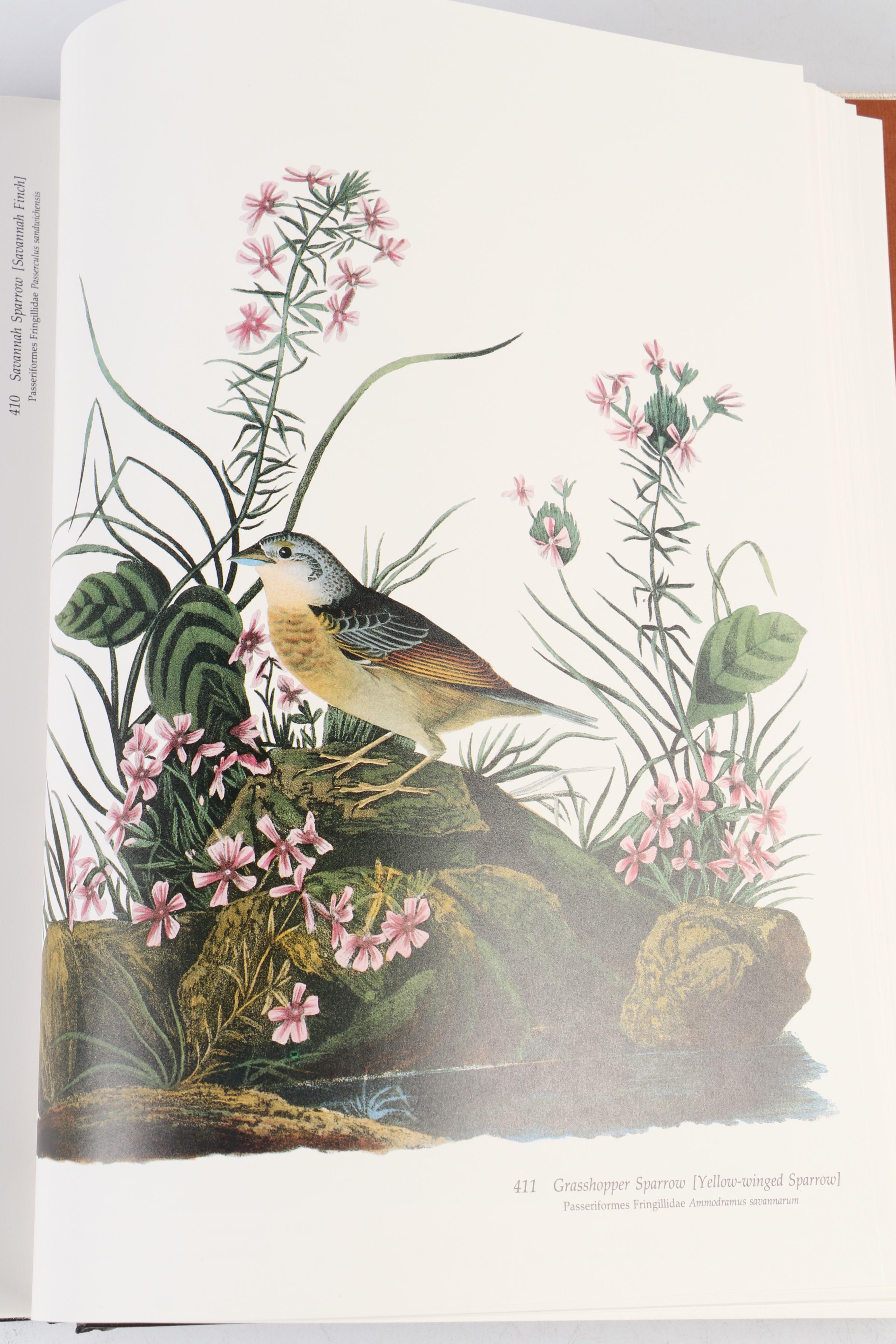 Audubon Society Baby Elephant Folio "Birds of America" by the Petersons ...