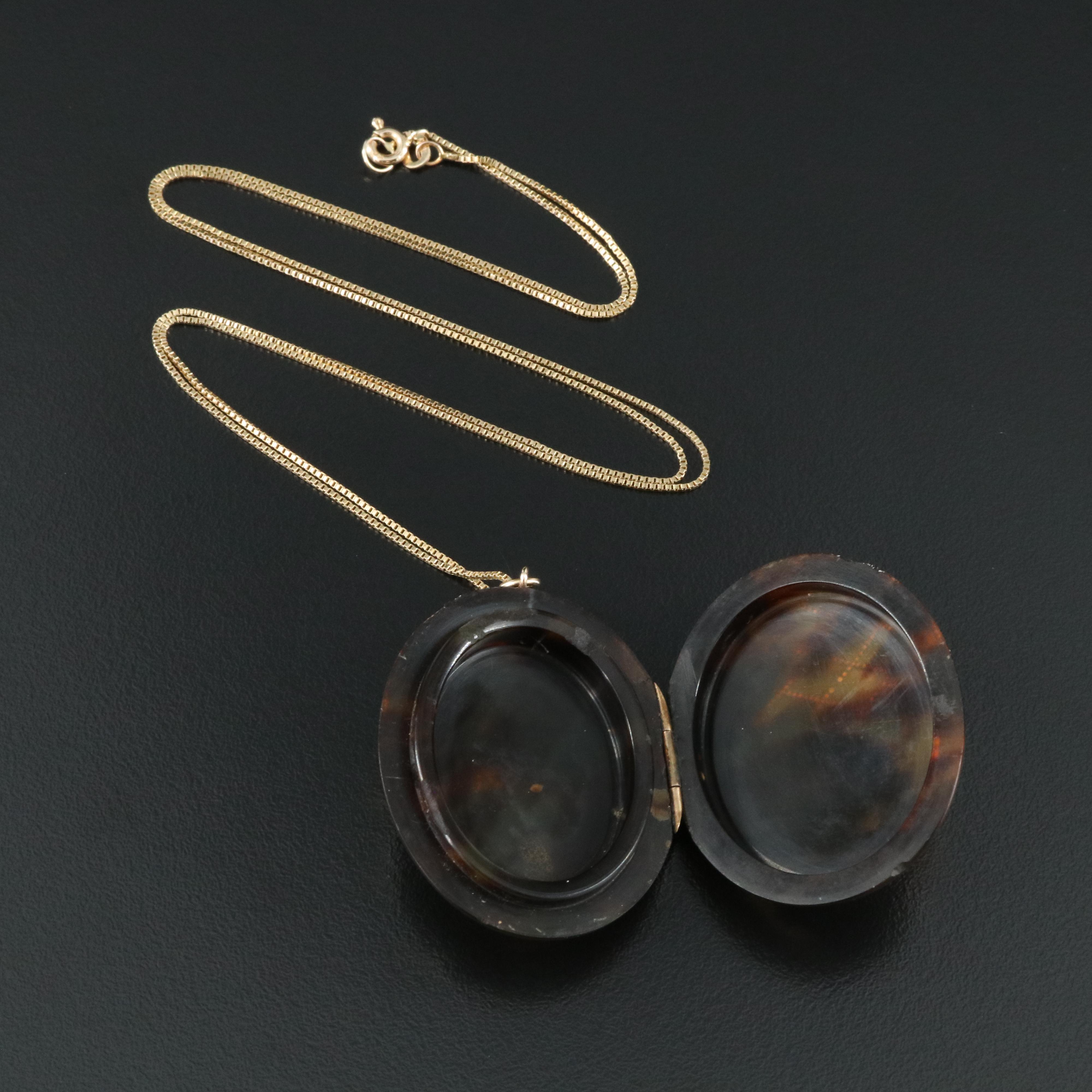 Antique Tortoise Shell Locket with 10K Details and 14K Box Chain ...