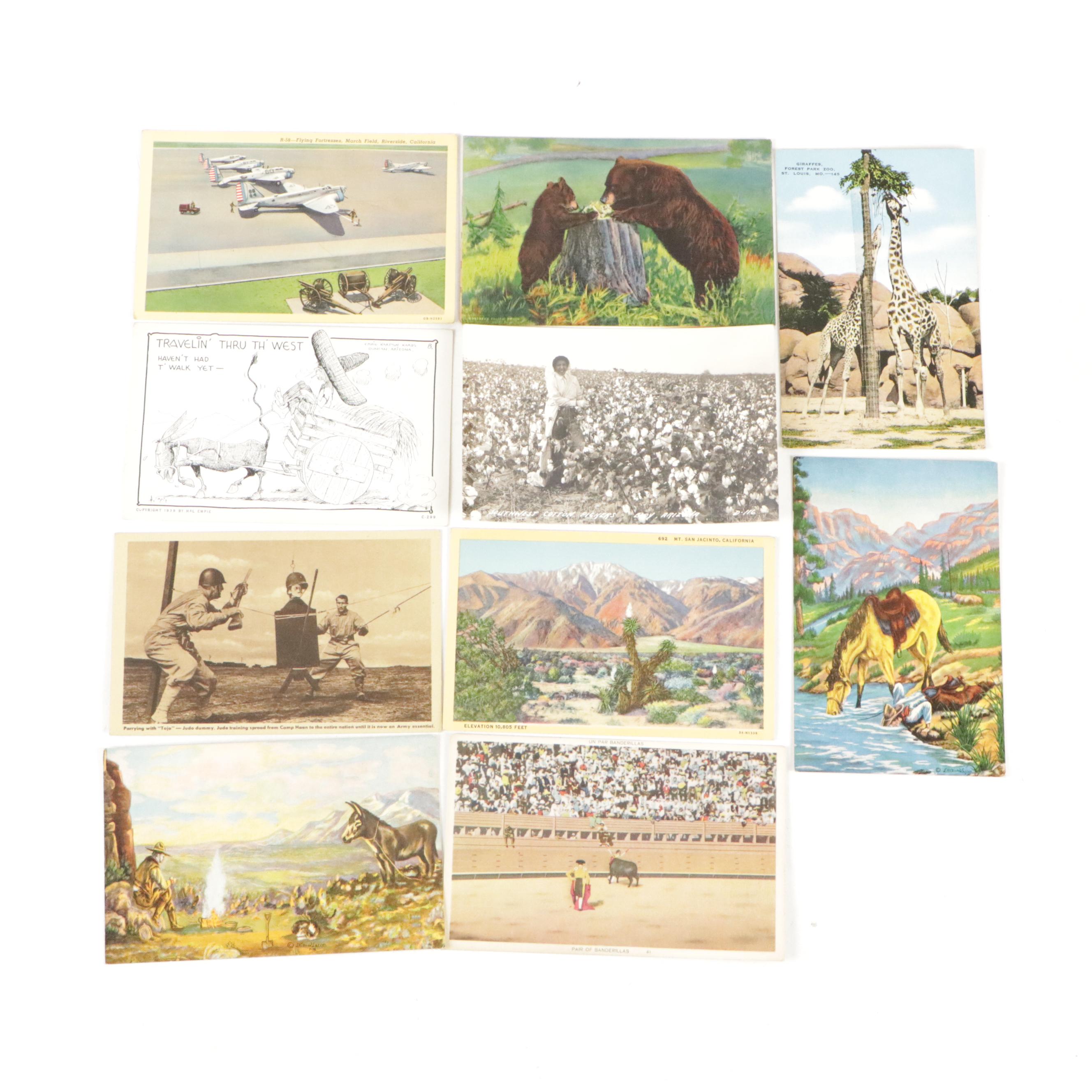 Pin-Up Girl Mutoscope Cards, Postcards and More, Early to Mid-20th ...