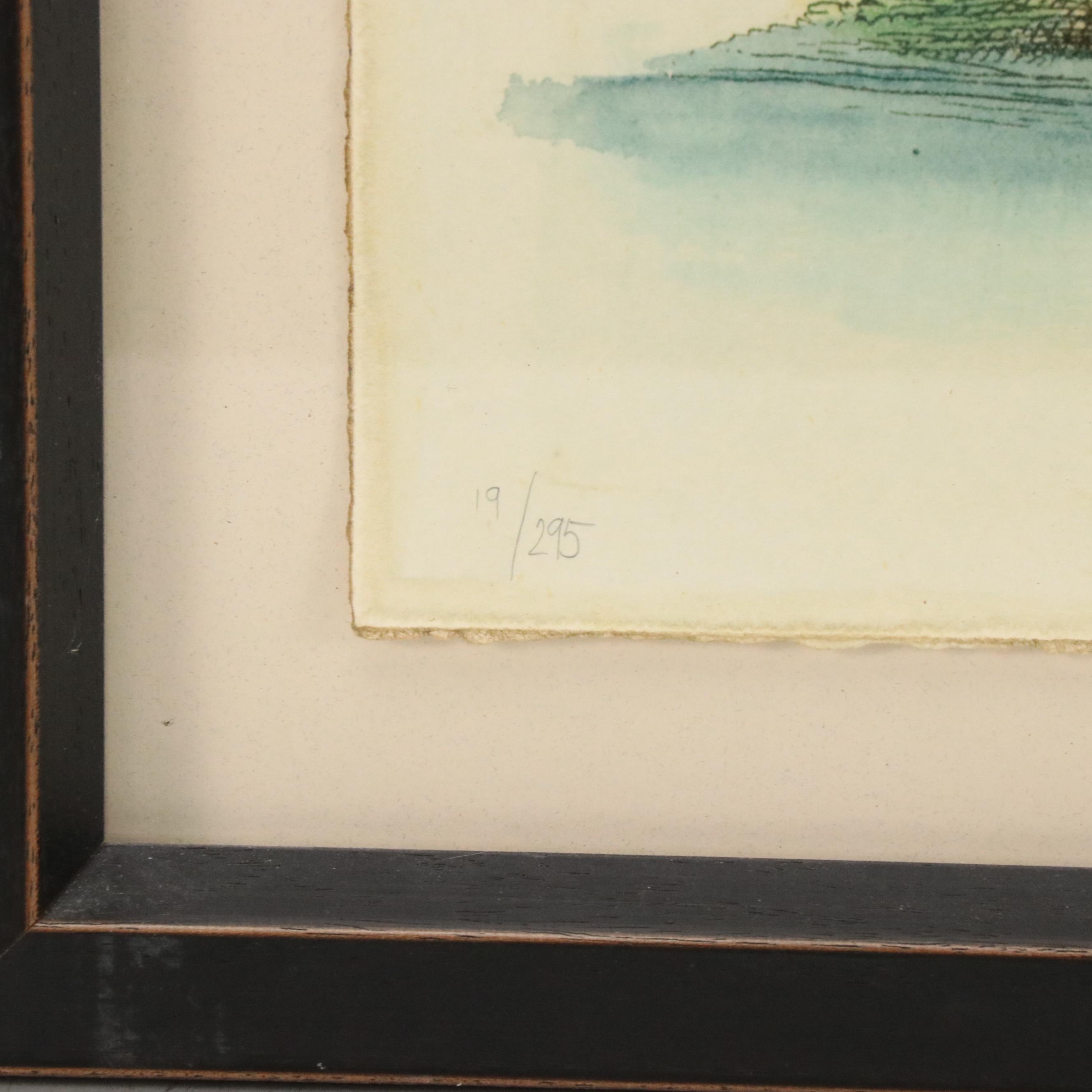 Trowbridge Museum Giclee Print Reproduction Engraving "Grebe by Edwards ...