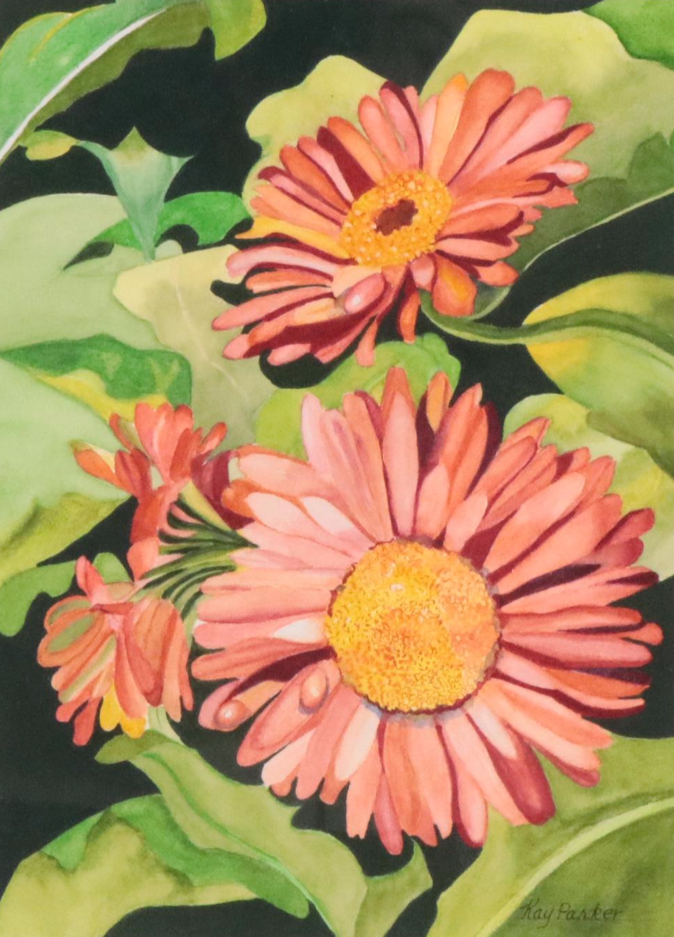 Kay Parker Watercolor Paintings "Curious Parrot" and "Gerber Glow" | EBTH