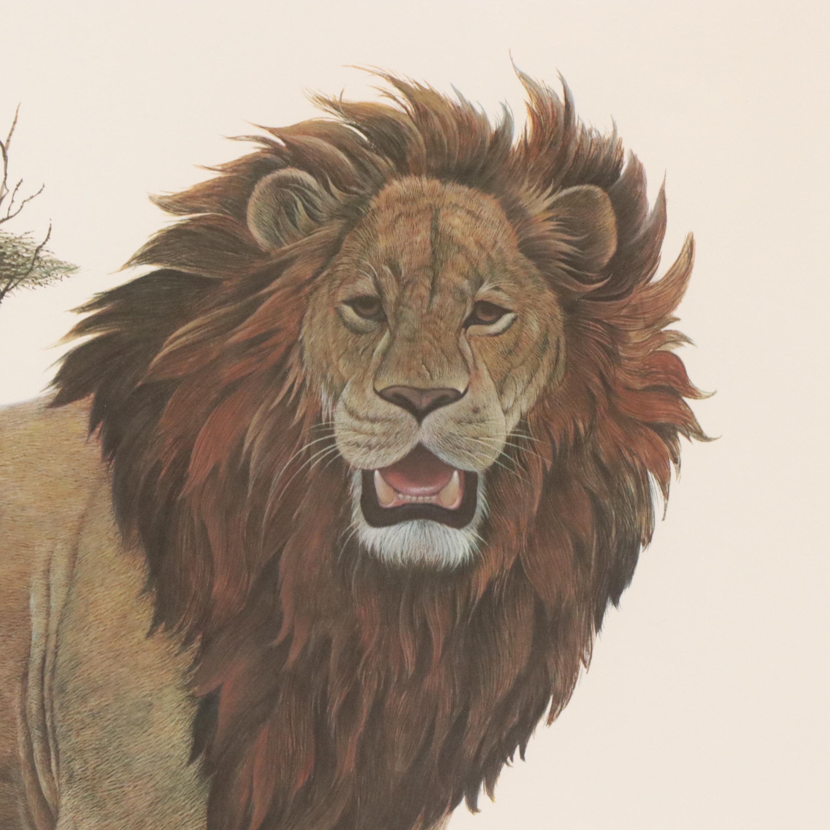 John Ruthven Offset Lithograph "Black Maned Lion," Late 20th Century | EBTH