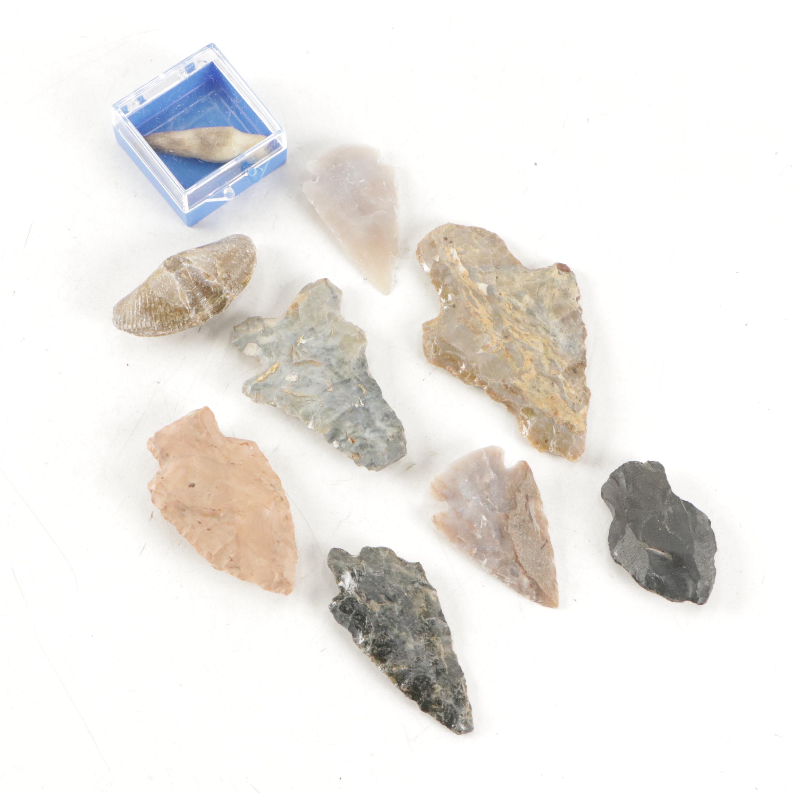 Knapped Stone Projectile Points and Fossilized Bivalve | EBTH