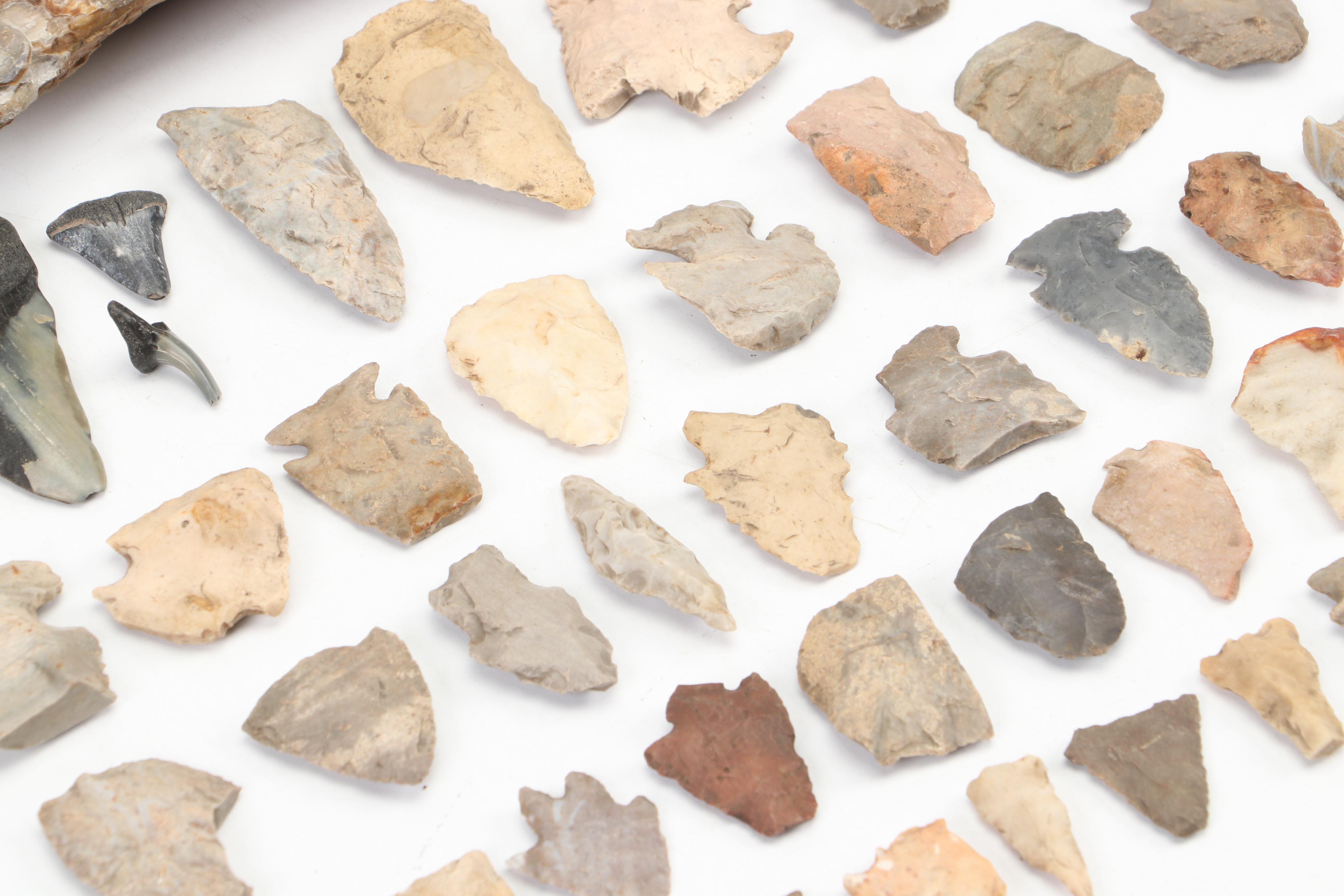 Fossil Megalodon & Shark Teeth with Knapped Stone Projectiles, Fossil ...