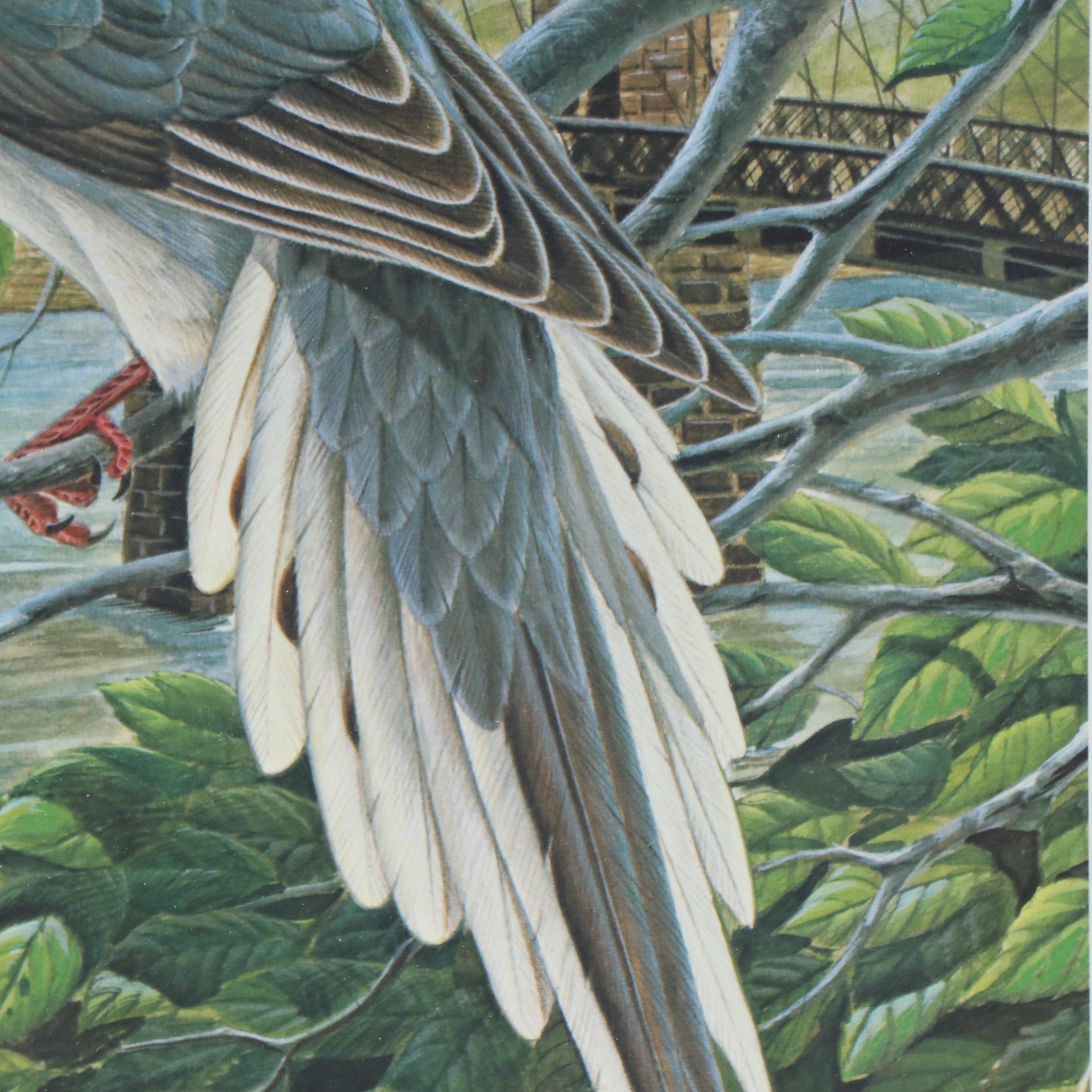 John Ruthven Offset Lithograph "Passenger Pigeons," 1985 | Everything ...