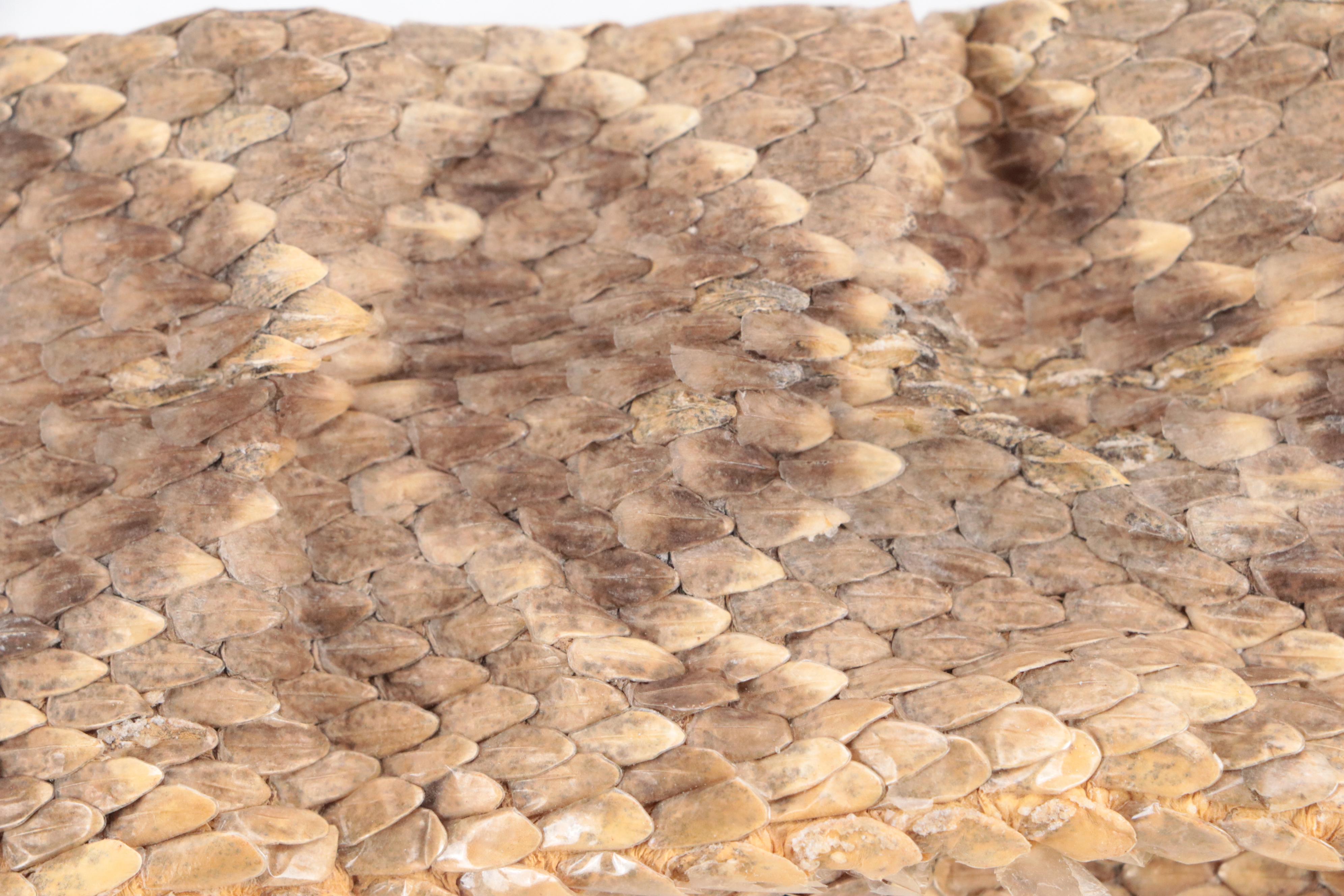 Rattlesnake Skin With Rattle and Antler-Handled Knife | EBTH