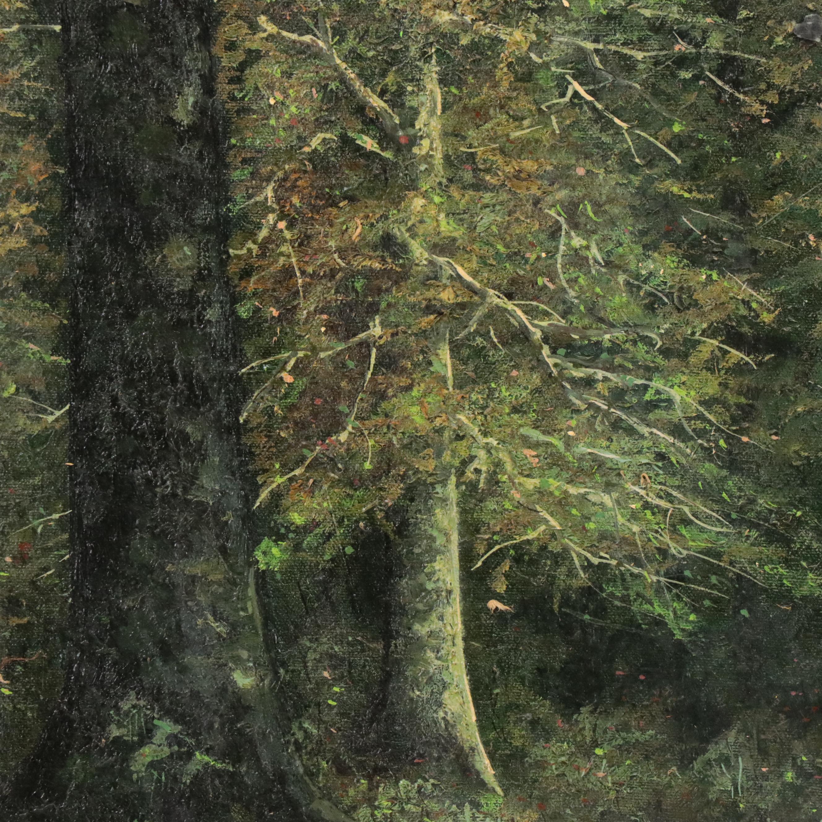 Robert H. Joseph Forest Landscape Oil Painting "Giant Sentinels" | EBTH