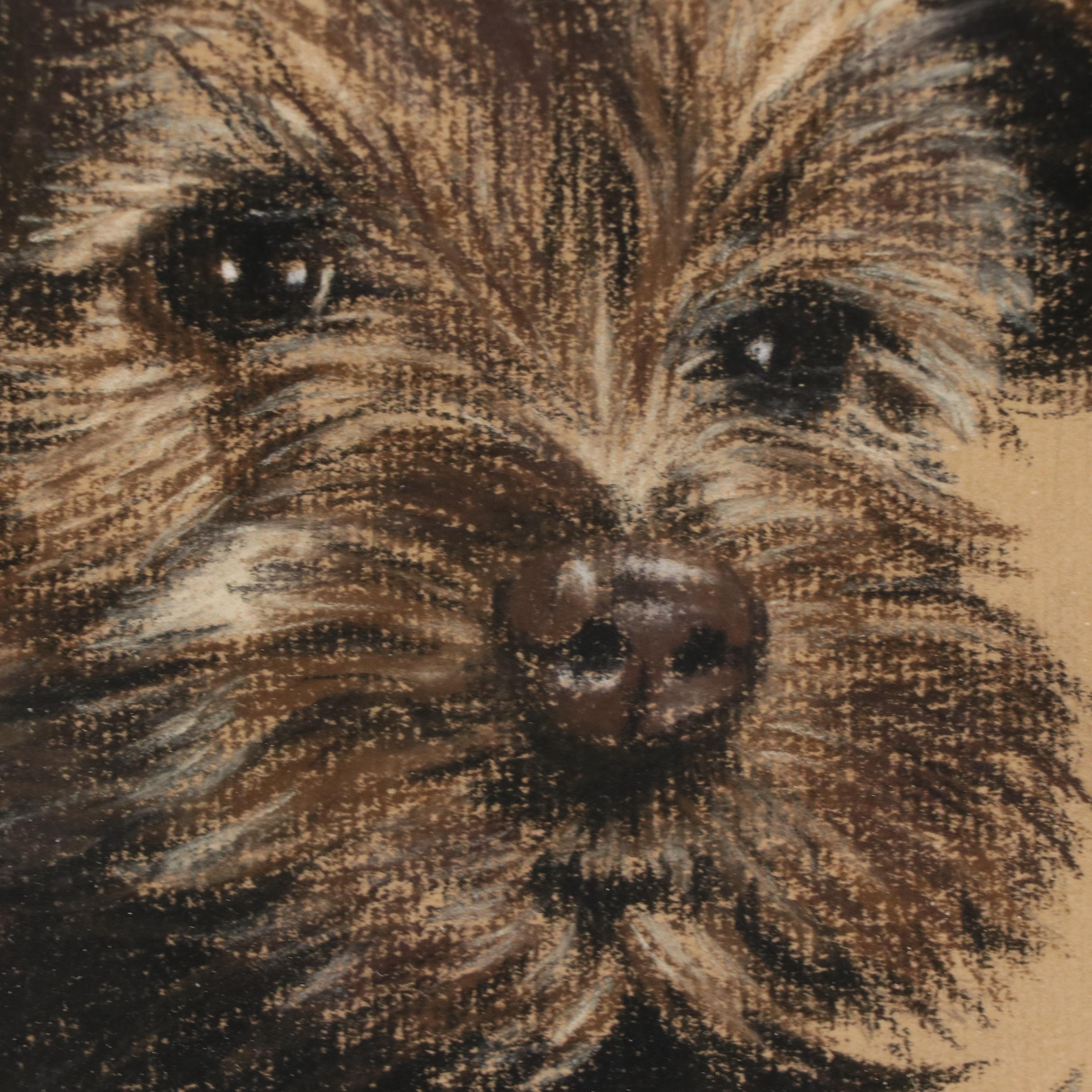 Pam Palco Pastel Drawing of a Dog "Terry" | EBTH