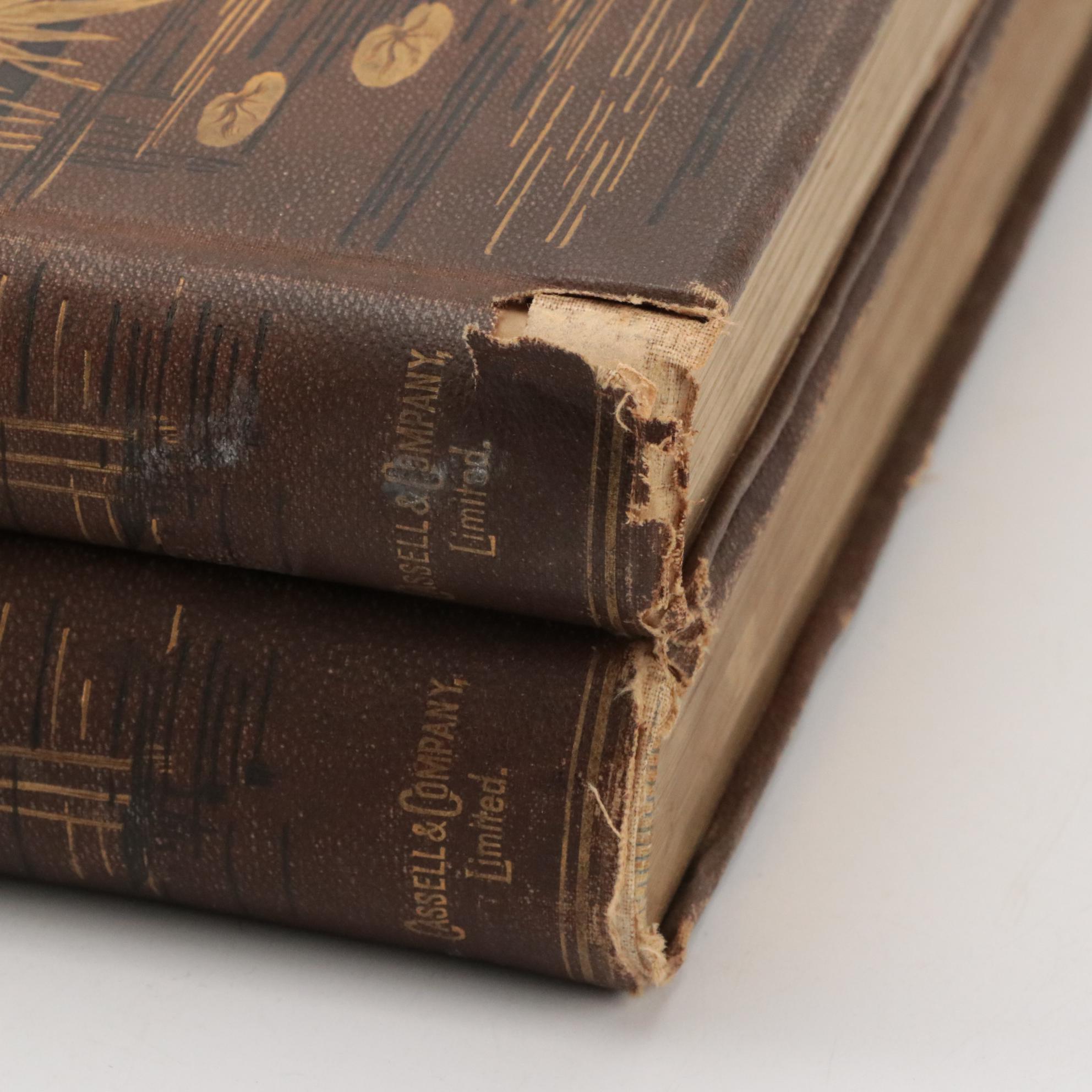 "Picturesque Egypt" Two-Volume Set by Georg Ebers, Late 19th Century | EBTH