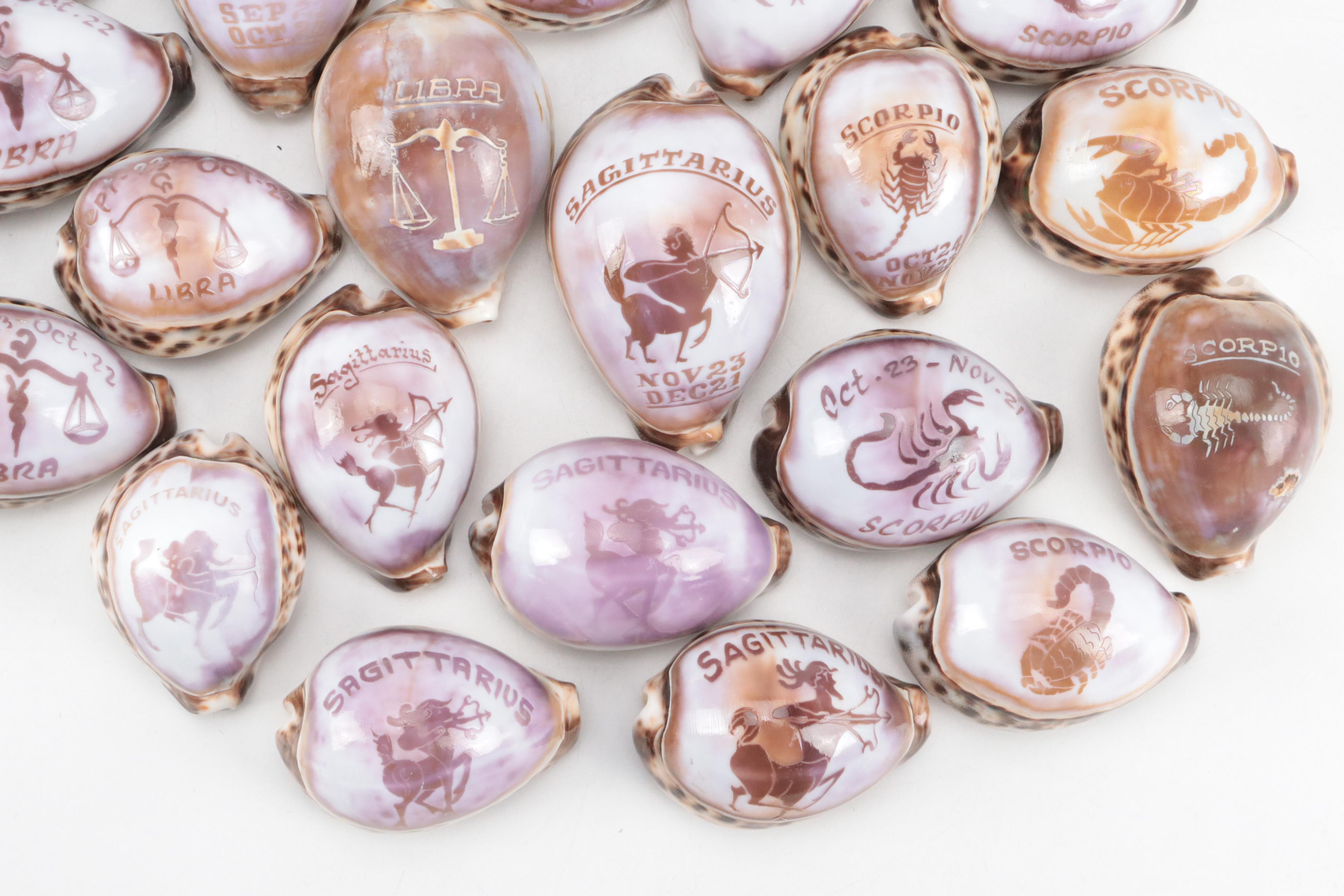 Zodiac Carved Tiger Cowrie Shells | EBTH