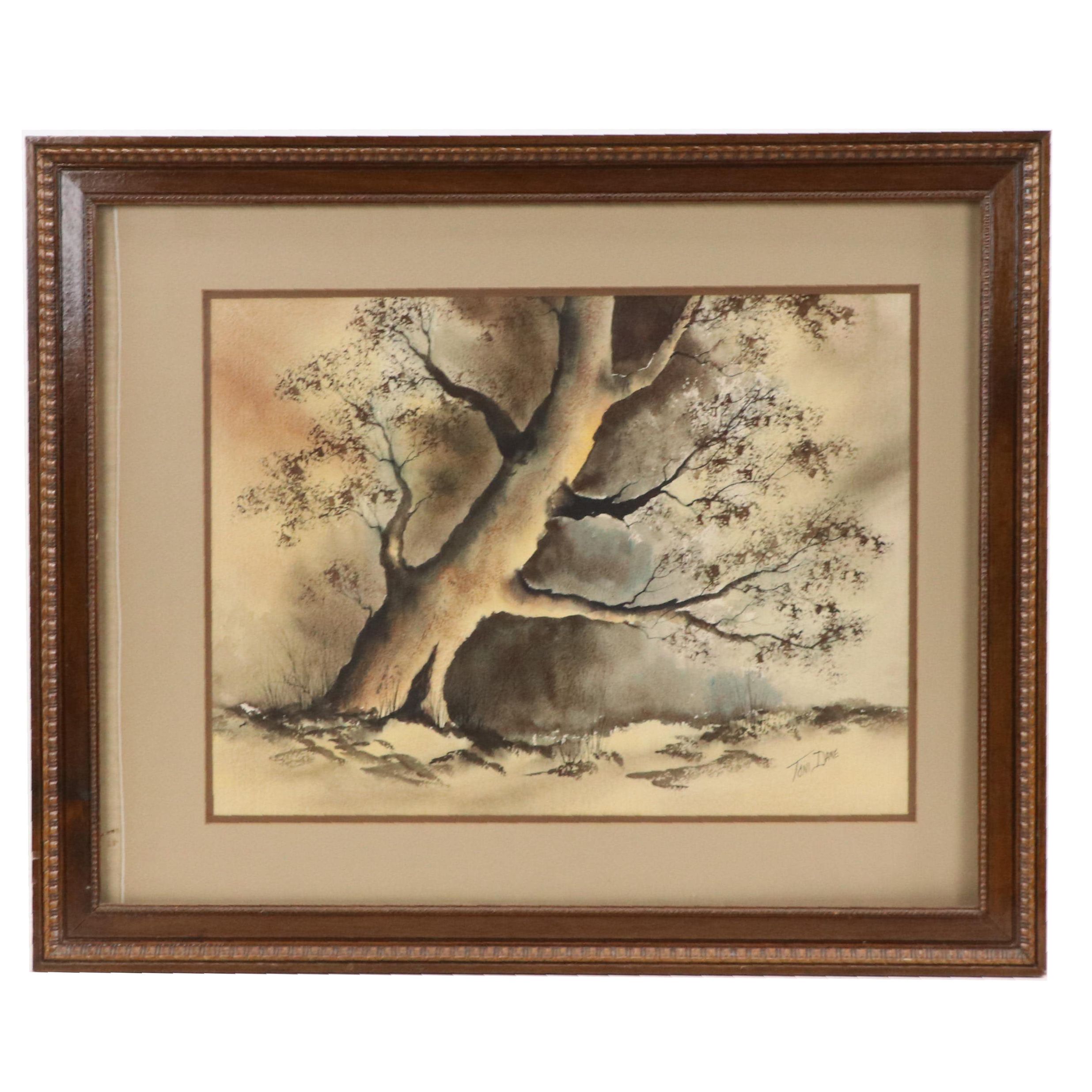 Toni Dane Watercolor Painting of a Tree | EBTH