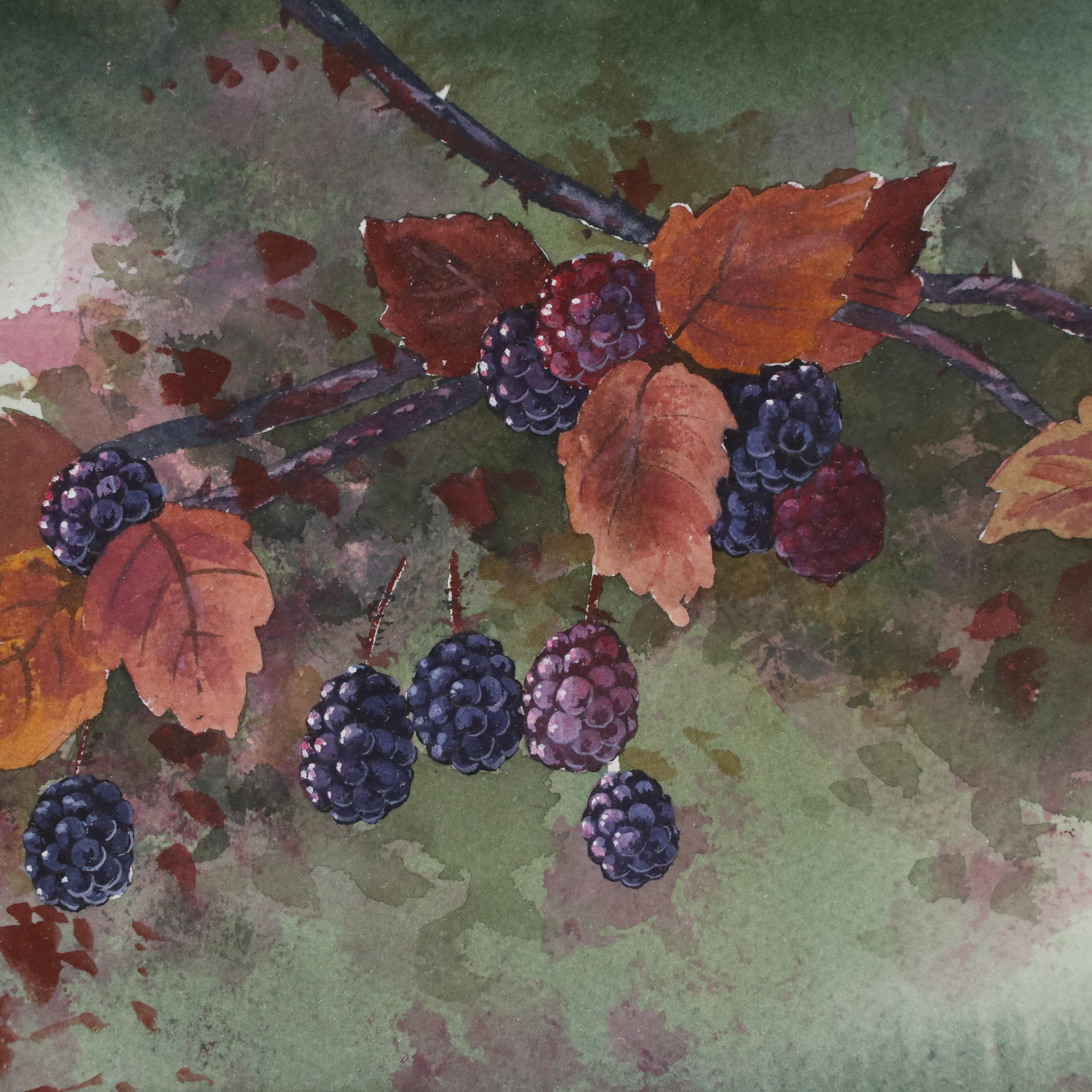 Still Life Watercolor Painting of Blackberry Branch | EBTH