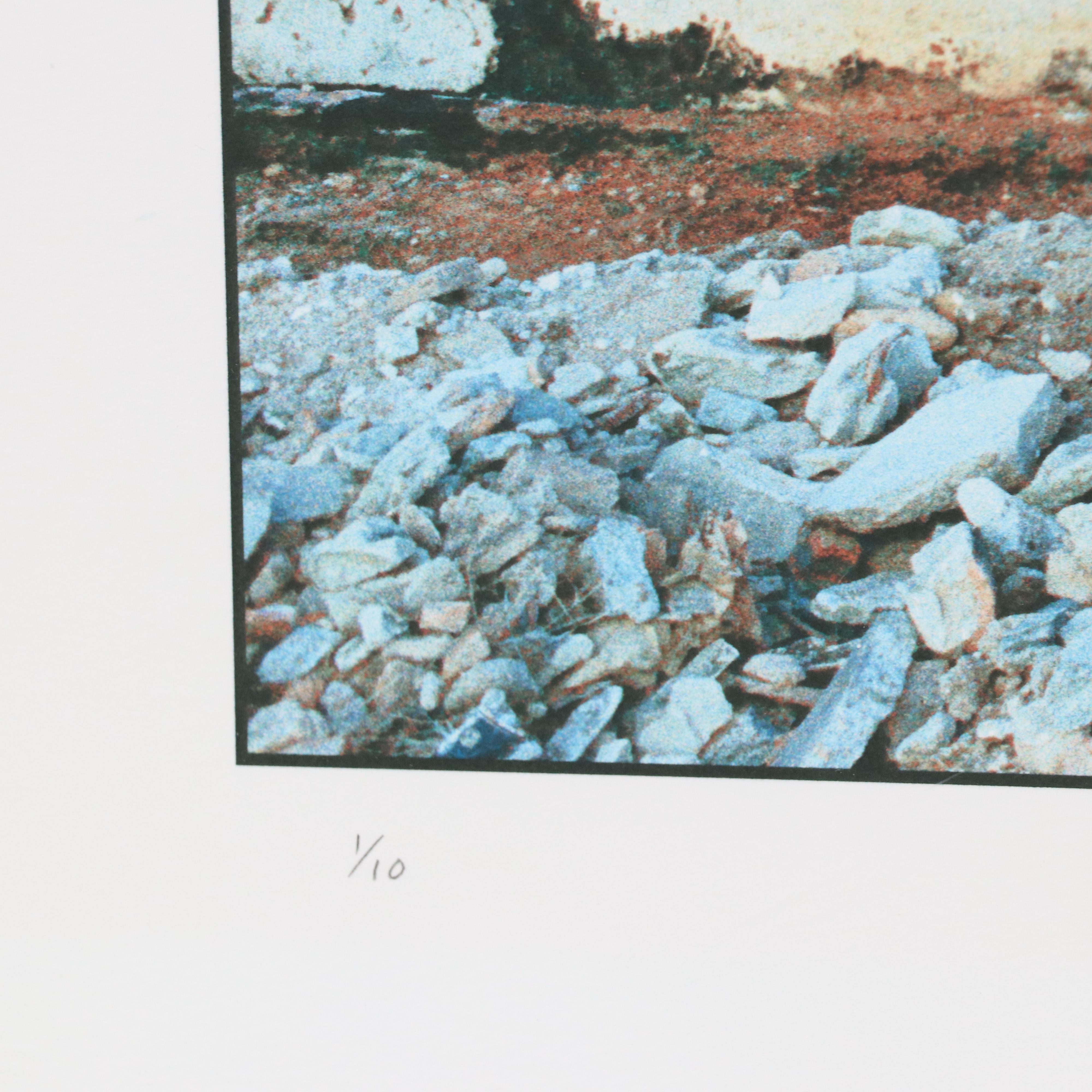 Peter Raimondi Photo Print of Landscape | EBTH