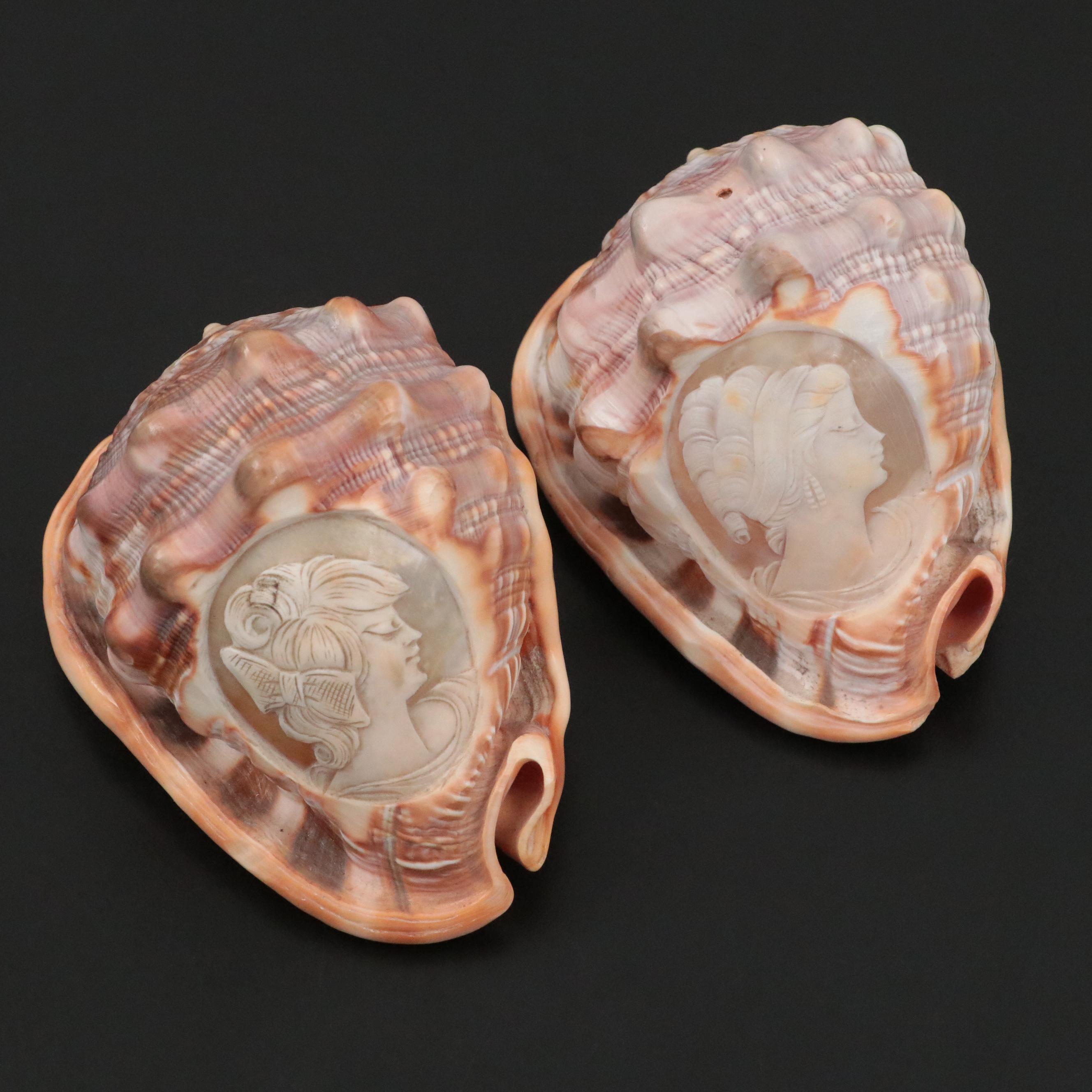 Carved Cameo Shells, Mid to Late 20th Century | EBTH