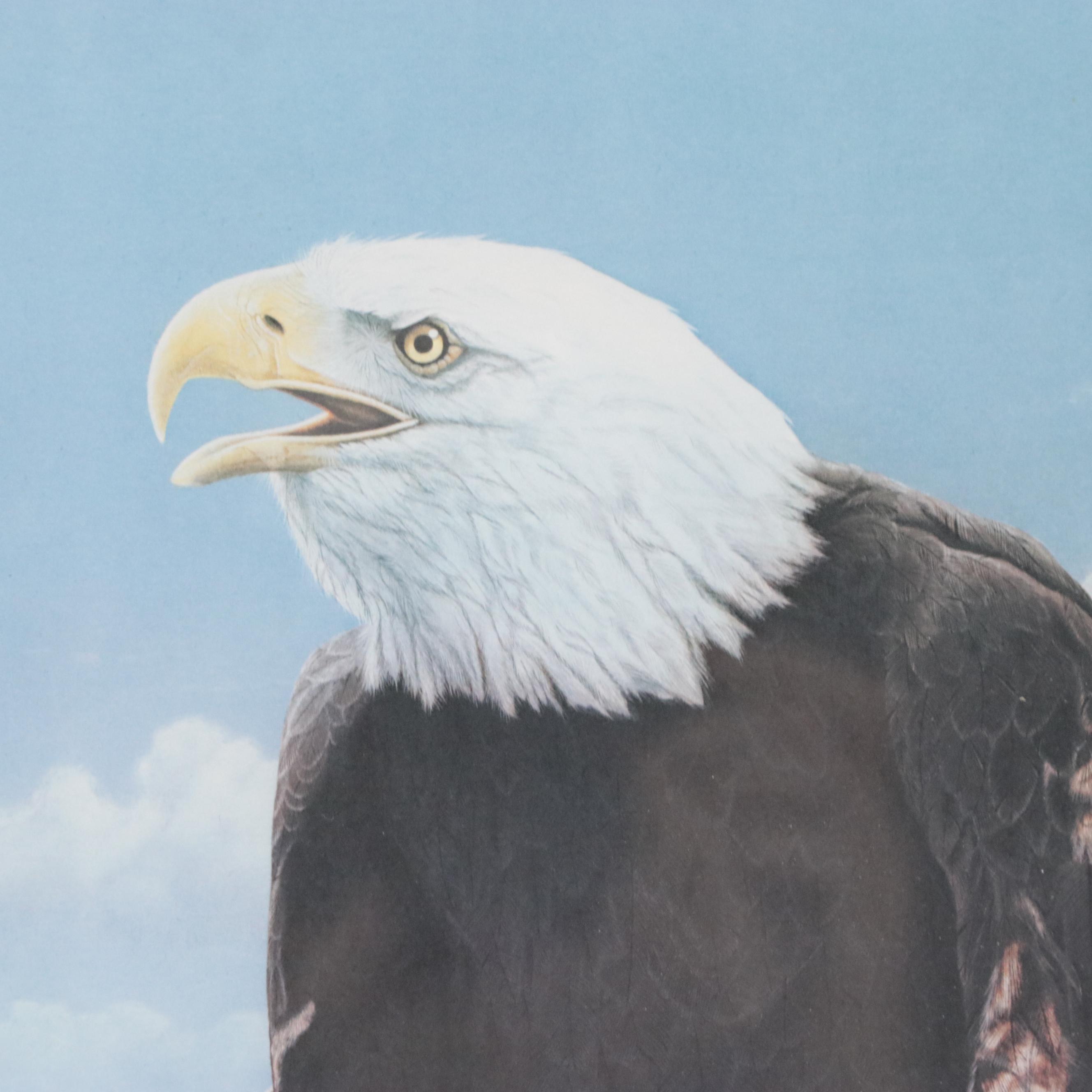 Robert Brandenburg Offset Lithograph "Bald Eagle," Late 20th Century | EBTH