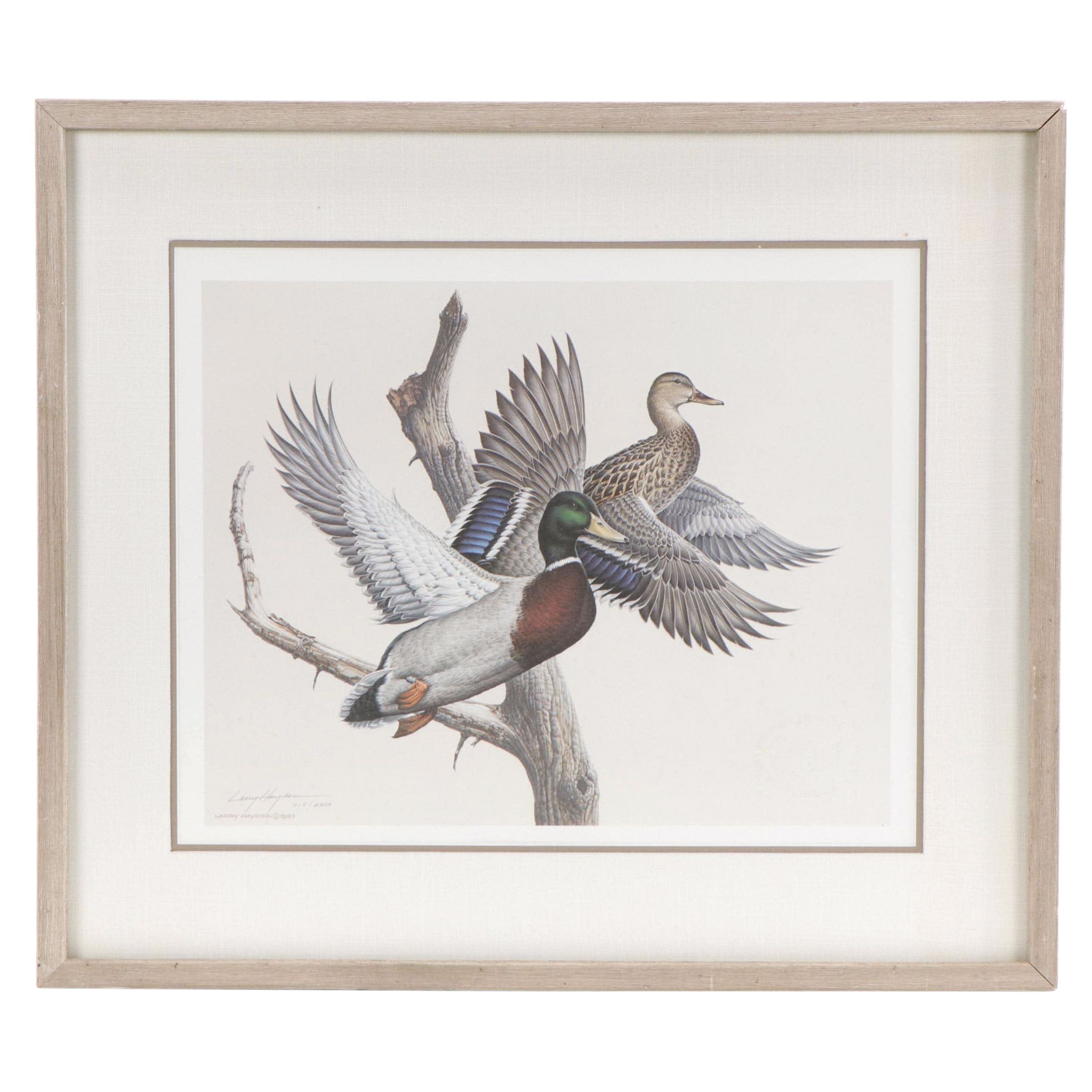 Larry Hayden Offset Lithograph "Covey," 1983 | EBTH