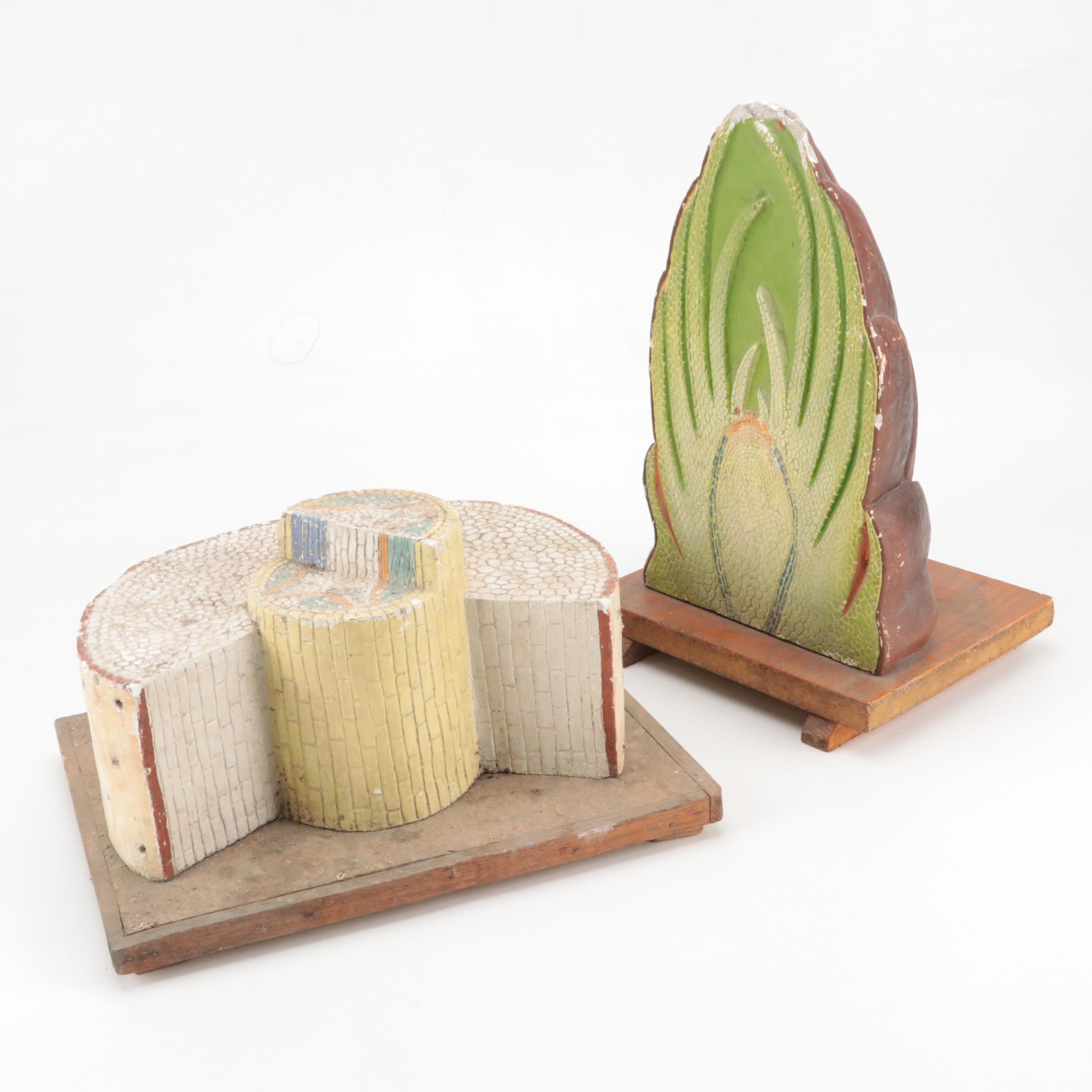 Plaster Cross Section Models of Animal Cell and Flower Bud | EBTH