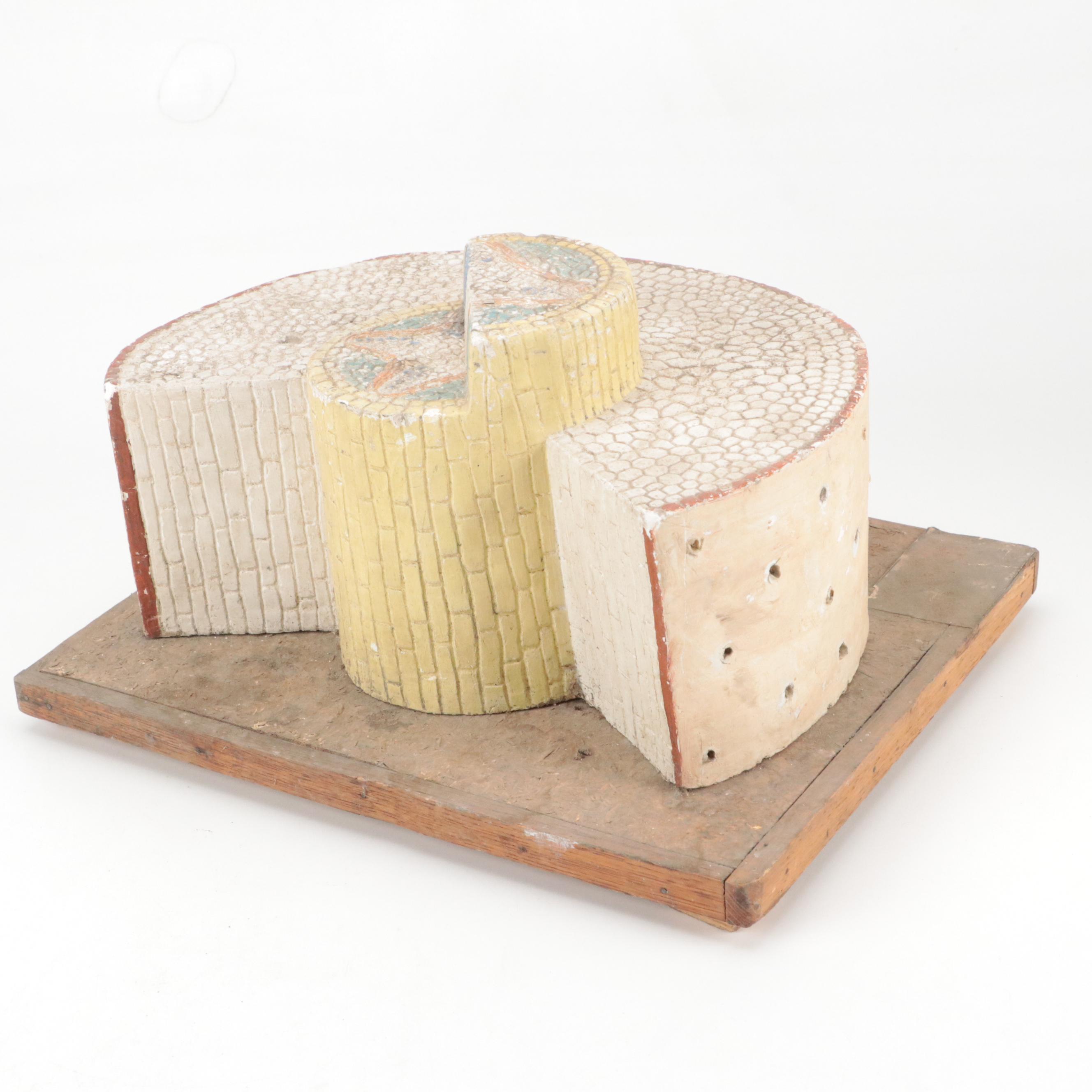 Plaster Cross Section Models of Animal Cell and Flower Bud | EBTH