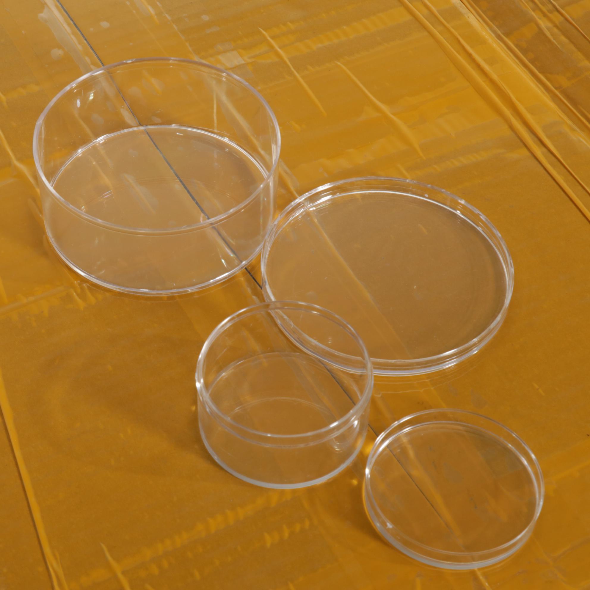 Large Group of Round Plastic Containers with Lids | EBTH