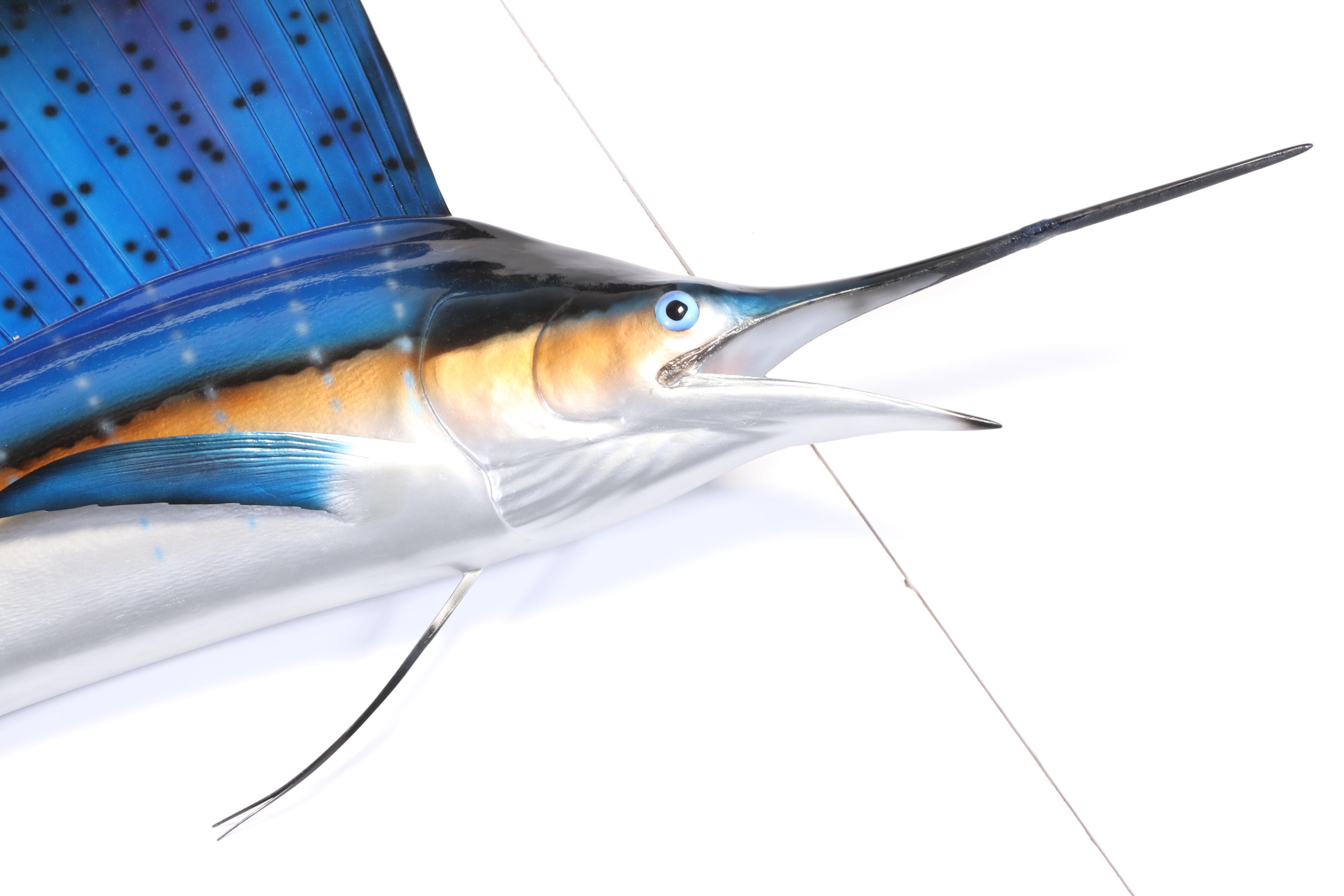 Taxidermy Atlantic Sailfish Fiberglass Replica | EBTH