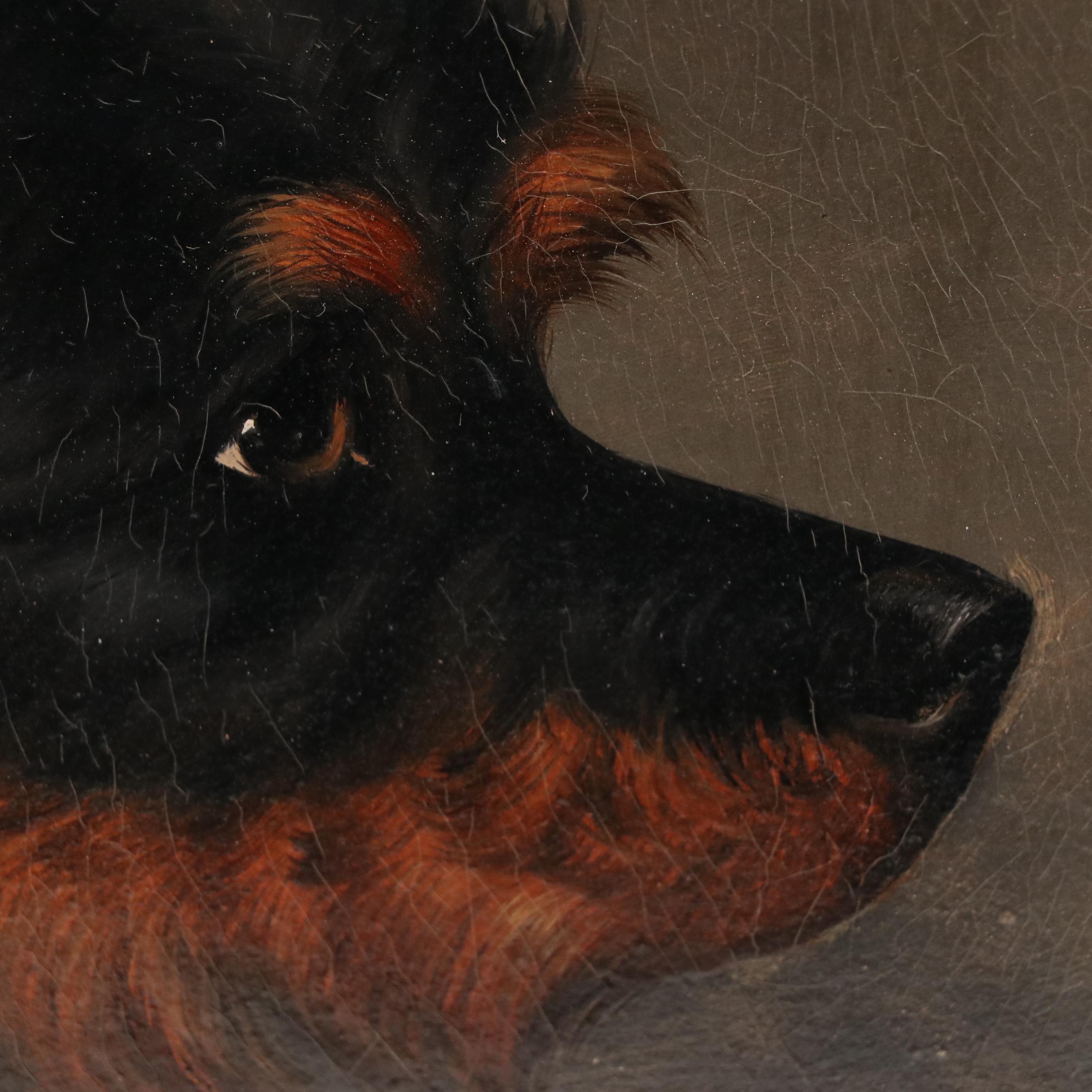 Oil Portrait of Norwich Terrier After Edwin Loder, Circa 1900 ...
