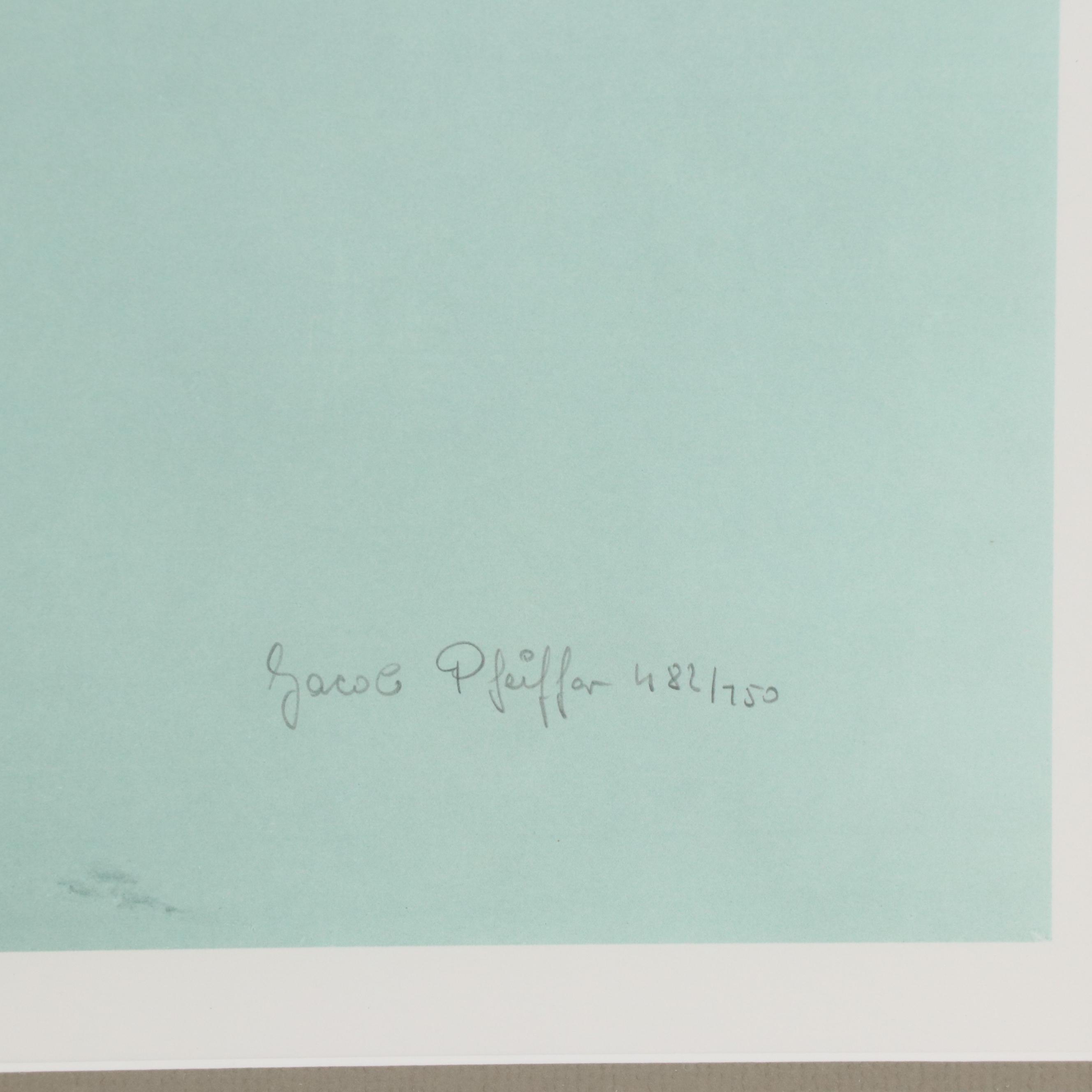 Jacob Pfeiffer Offset Lithograph "Introduction to the Rifle" | EBTH