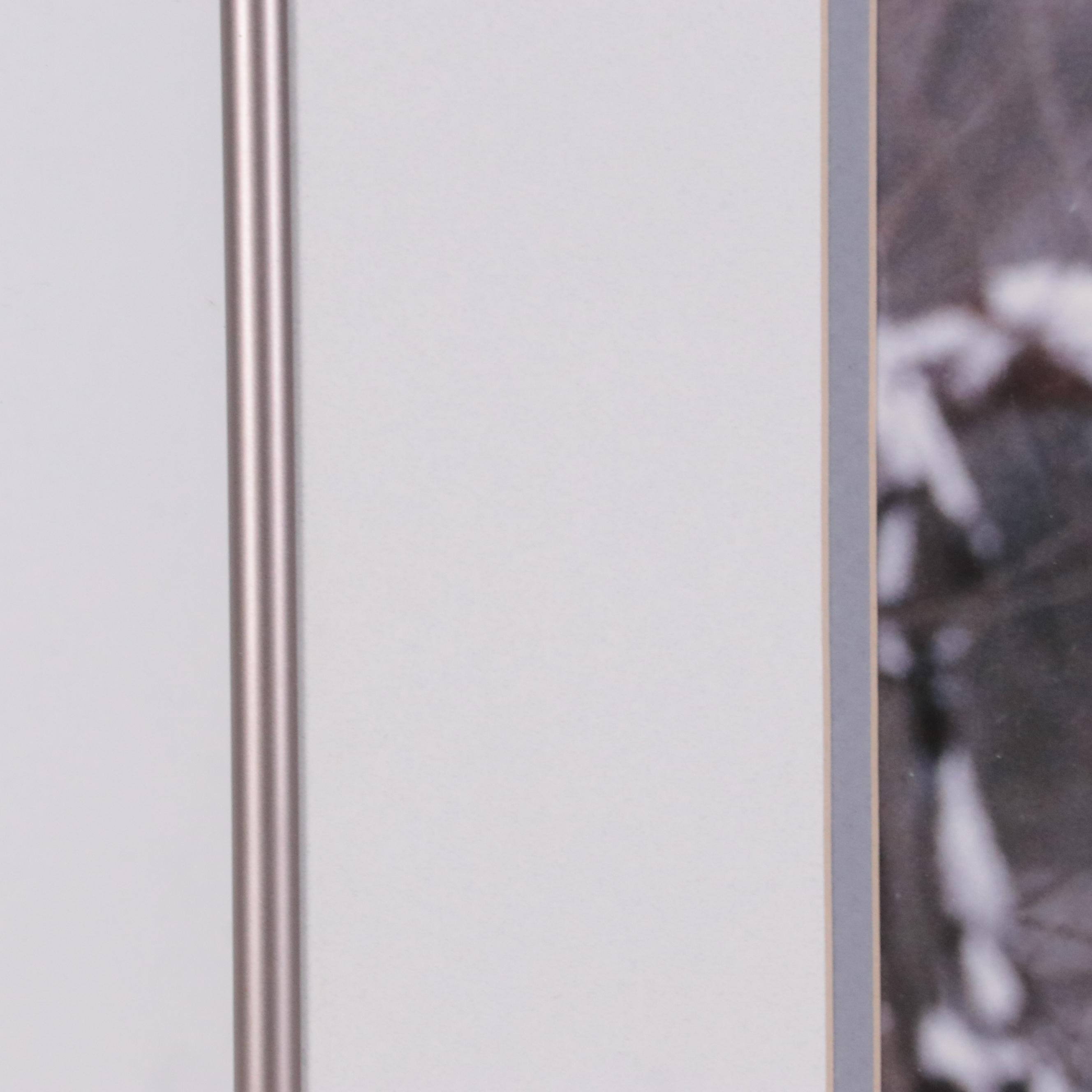 Chromogenic Color Photograph of Three Wolves | EBTH