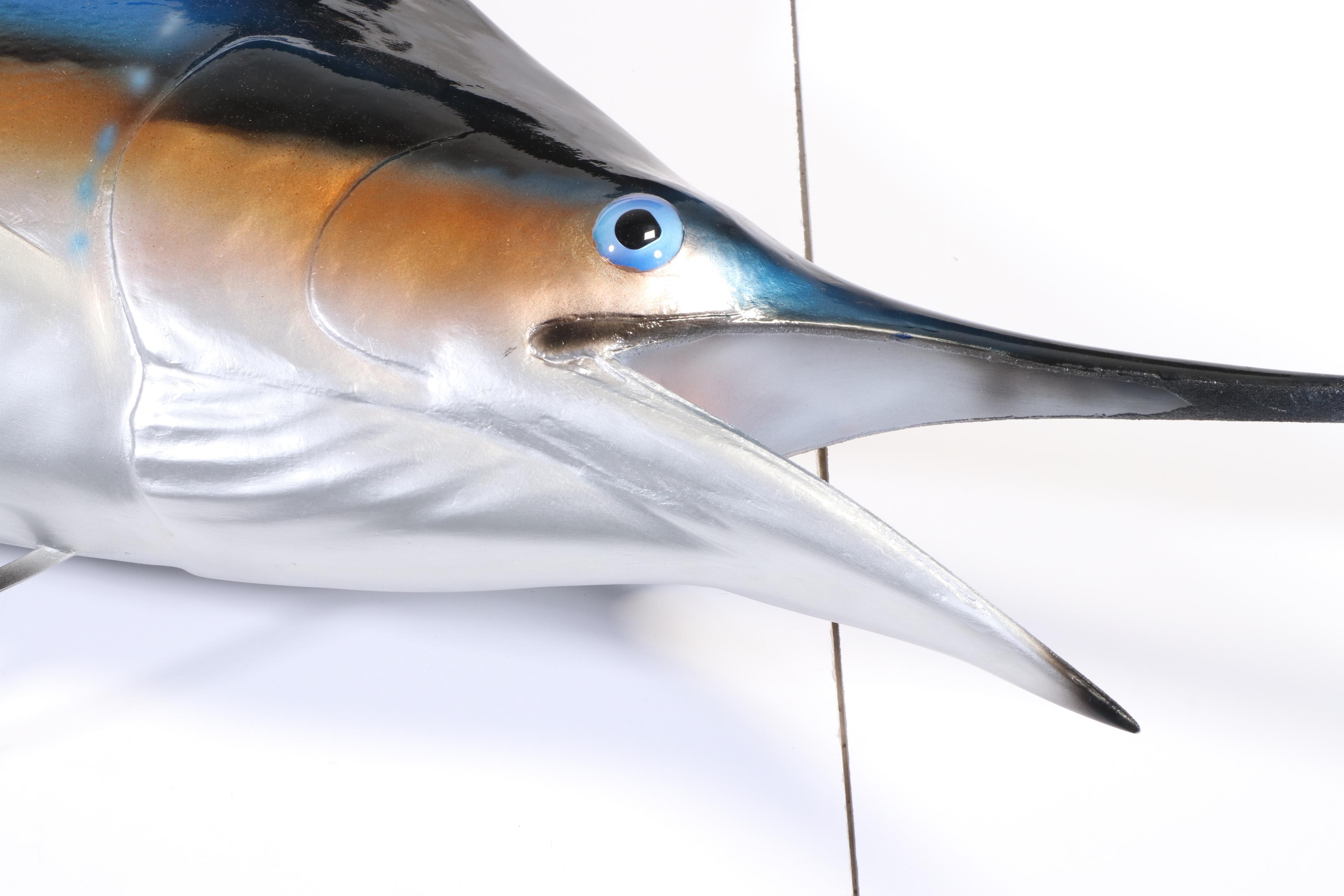 Taxidermy Atlantic Sailfish Fiberglass Replica | EBTH