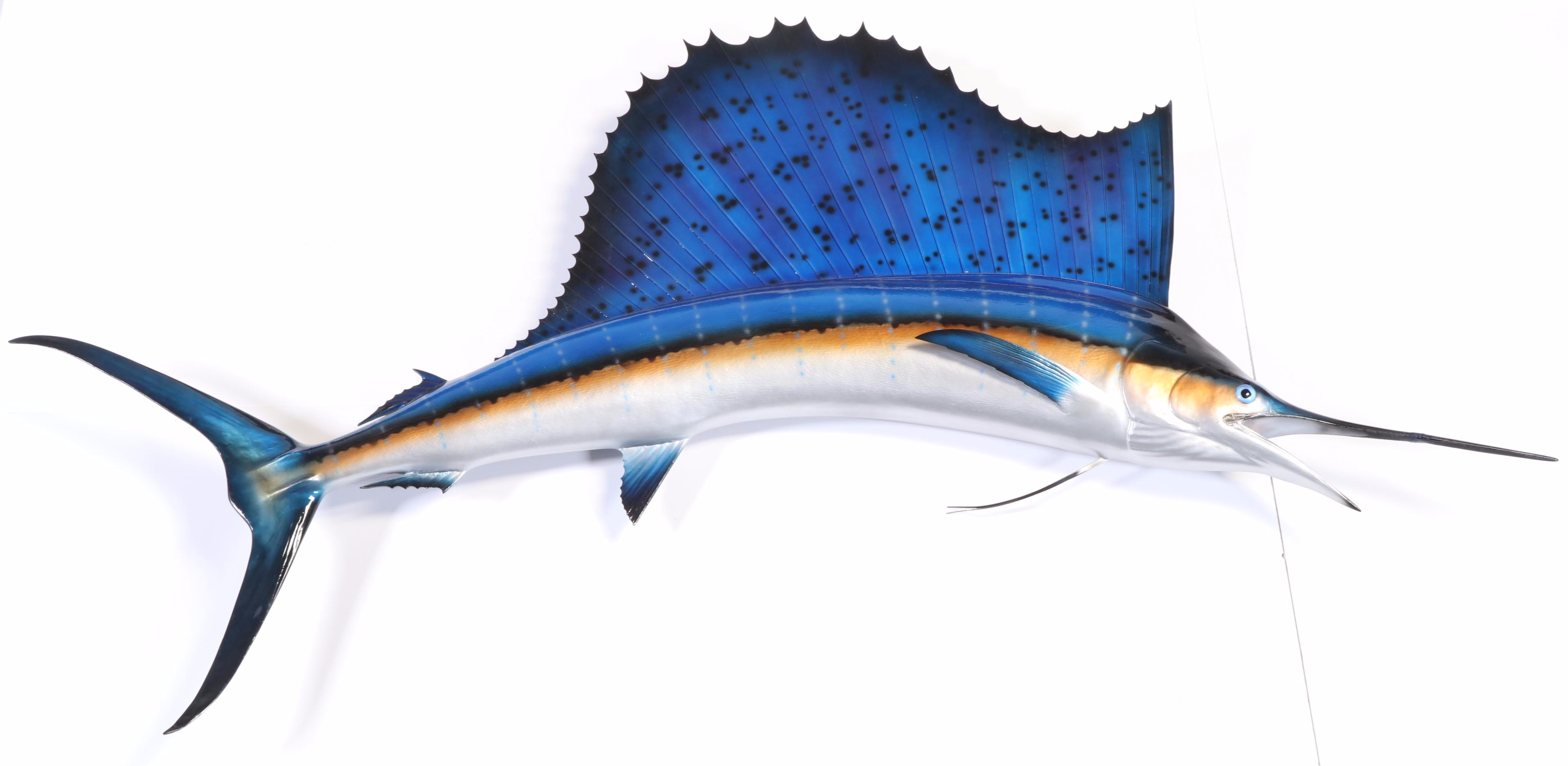 Taxidermy Atlantic Sailfish Fiberglass Replica | EBTH
