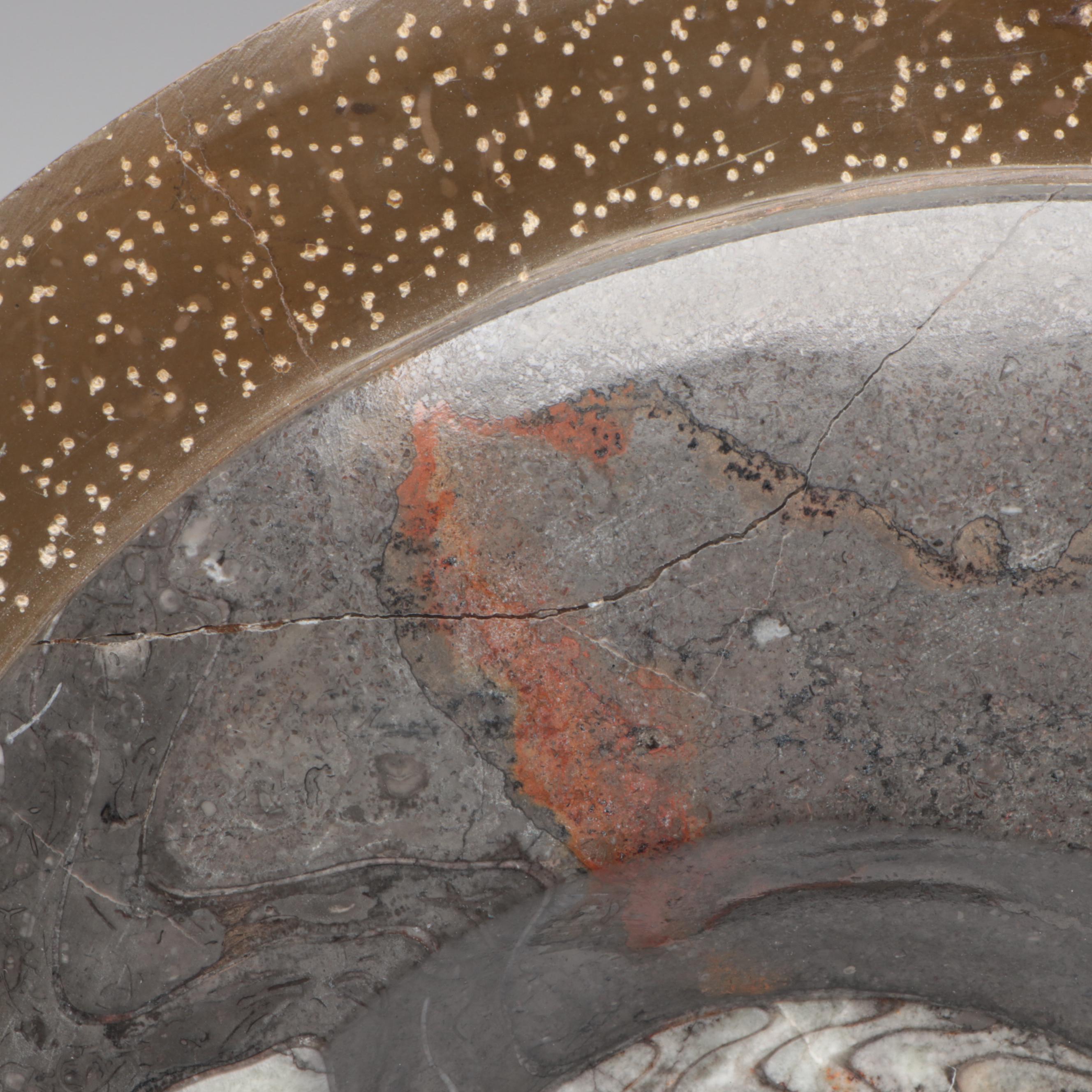 Carved and Polished Ammonite Part Fossil in Matrix on Stand | EBTH