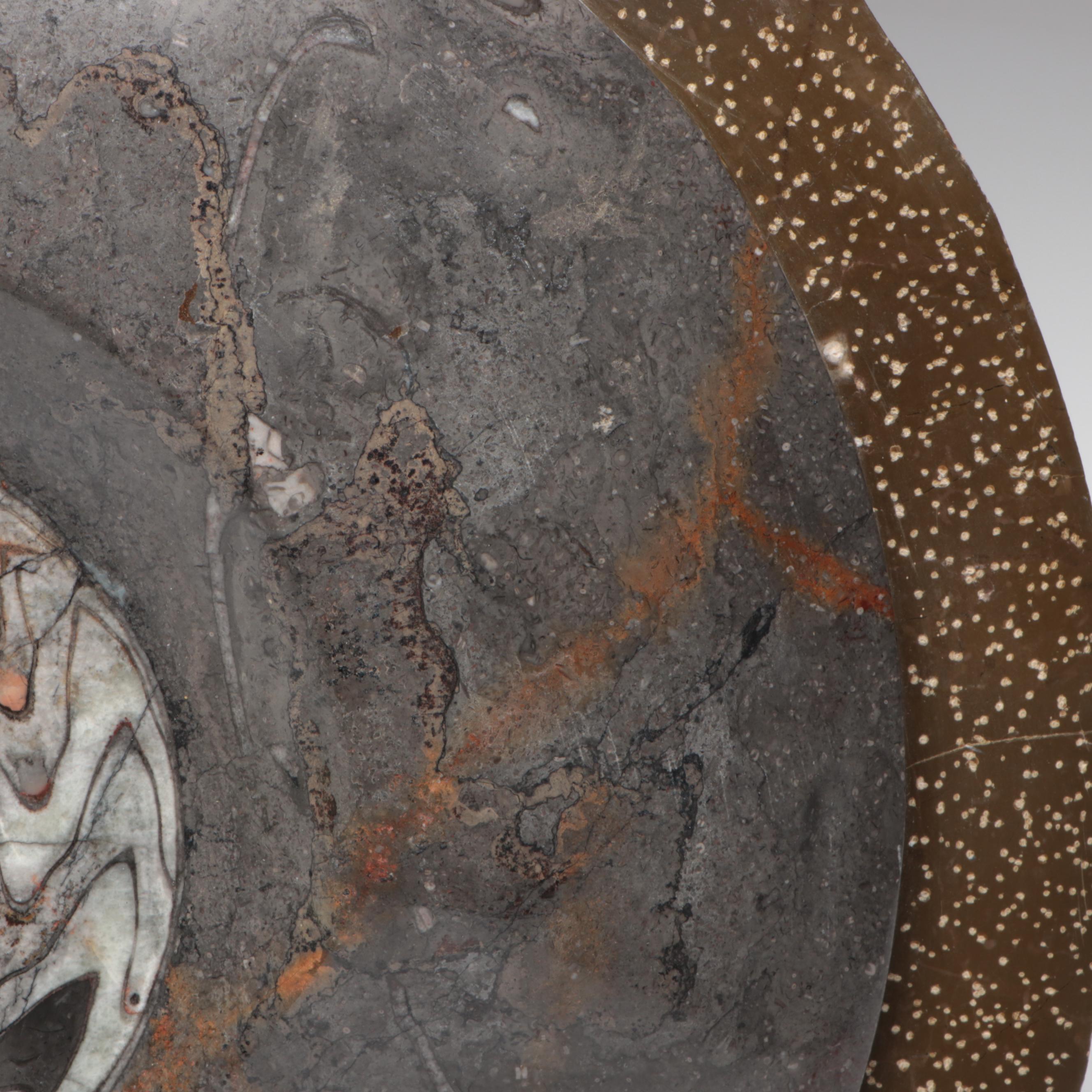 Carved and Polished Ammonite Part Fossil in Matrix on Stand | EBTH