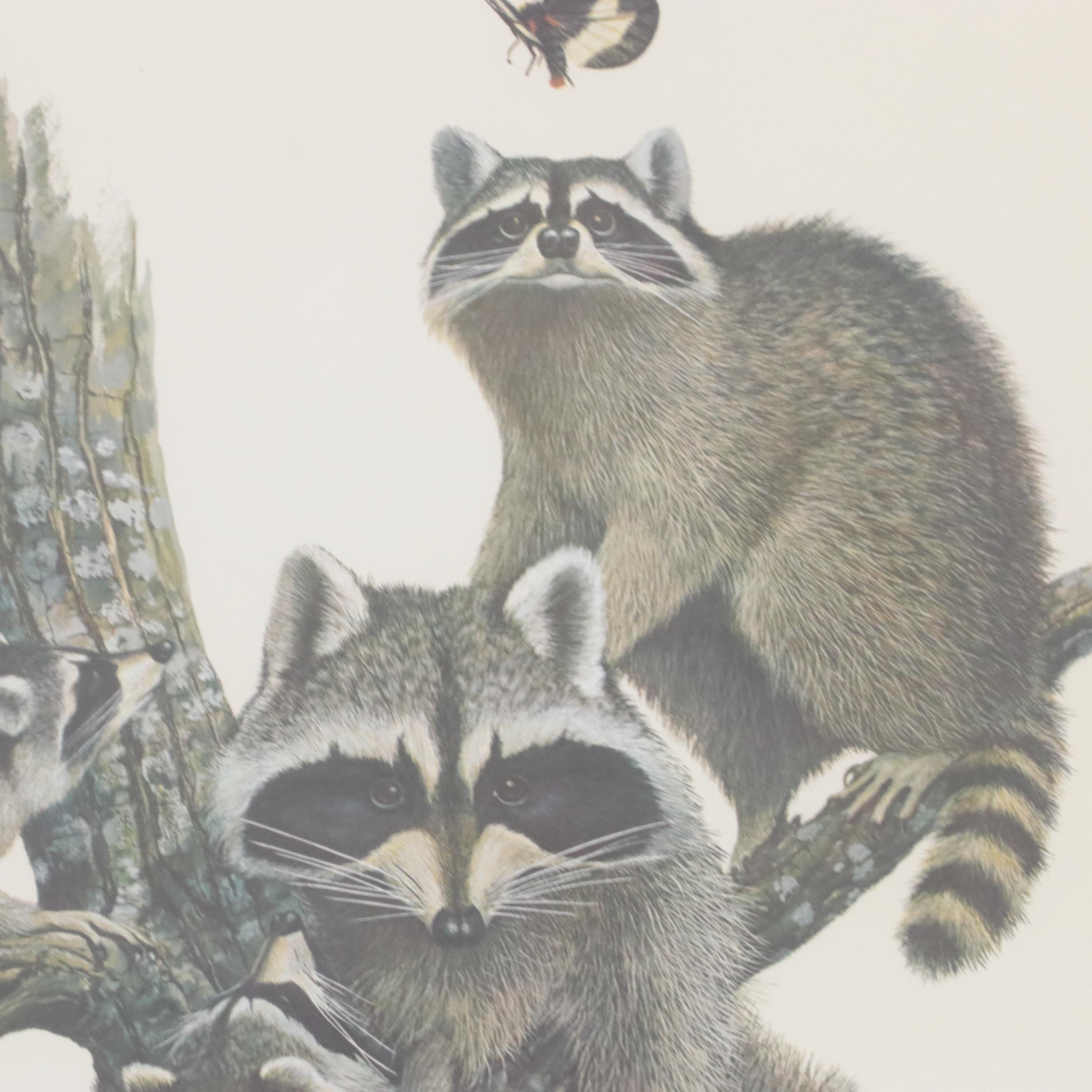 Ray Harm Offset Lithograph "Raccoon," Circa 1970 | EBTH