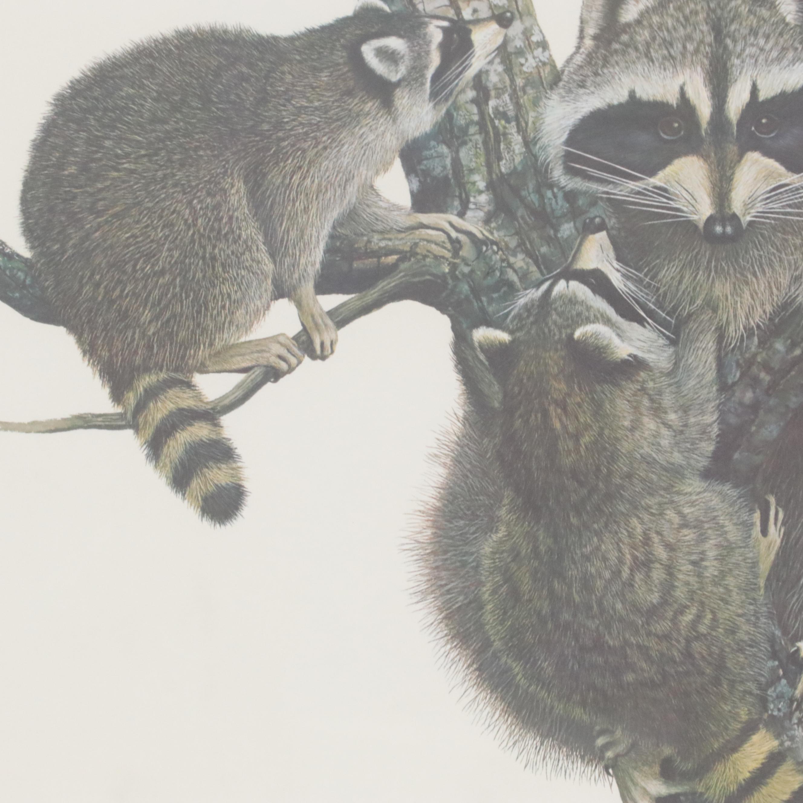 Ray Harm Offset Lithograph "Raccoon," Circa 1970 | EBTH