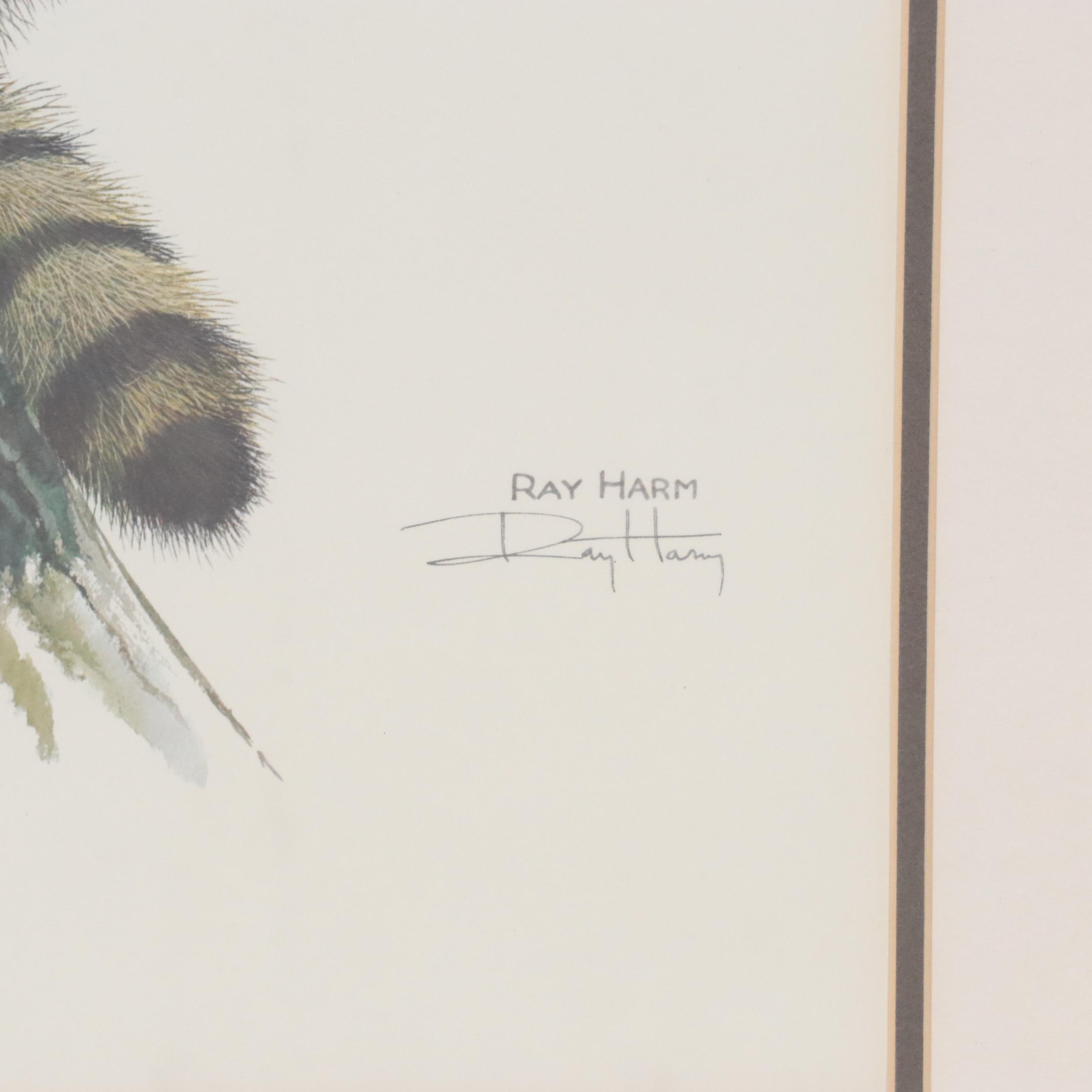 Ray Harm Offset Lithograph "Raccoon," Circa 1970 | EBTH