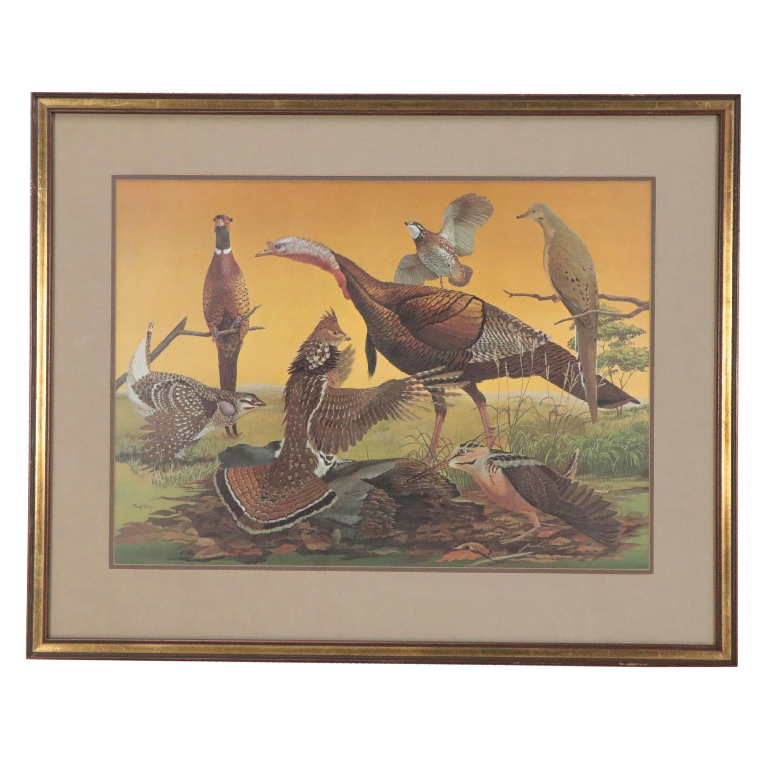 Ray Harm Offset Lithograph of American Birds, Circa 1970 | EBTH