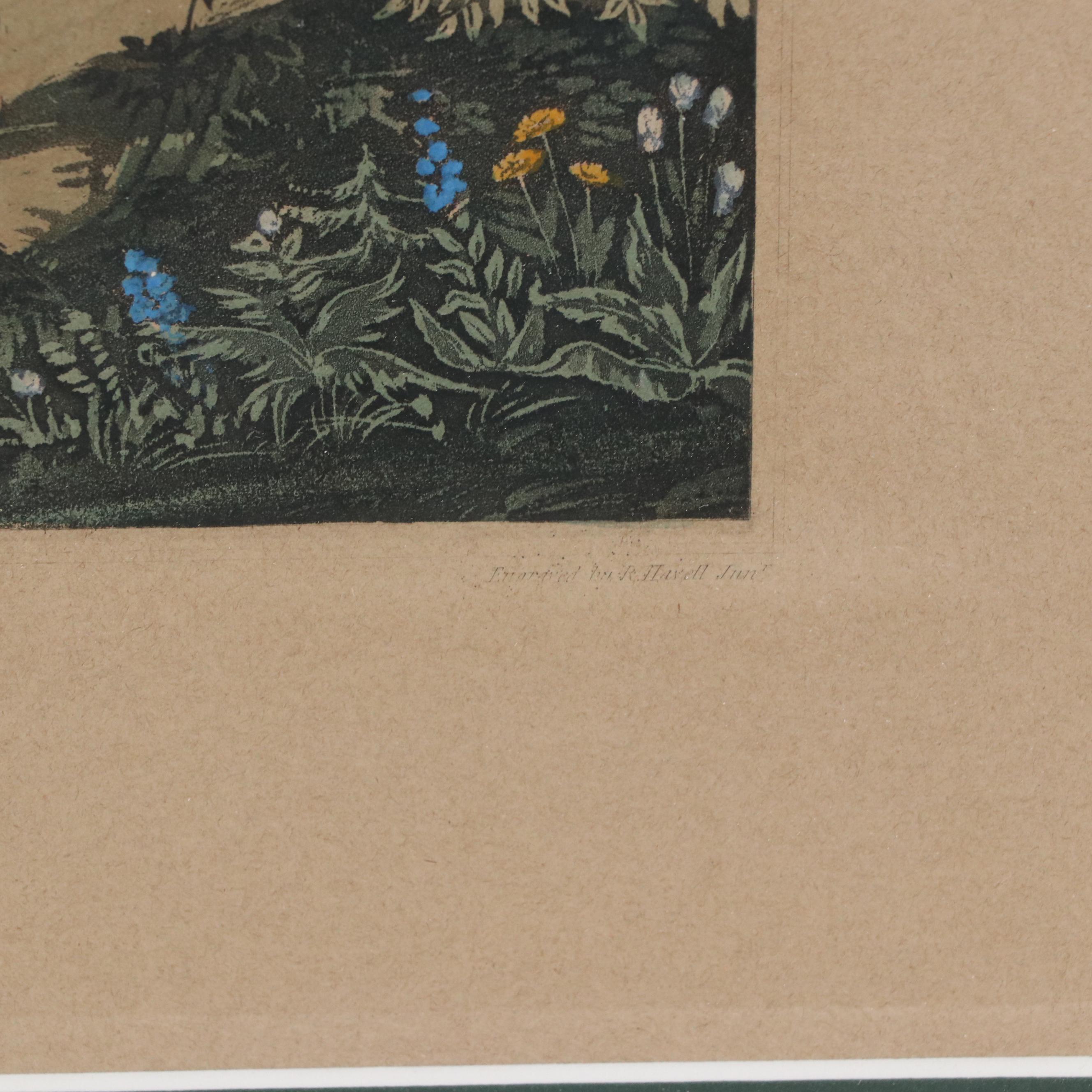 Robert Havell Hand-Colored Aquatint "Pheasant Shooting" | EBTH