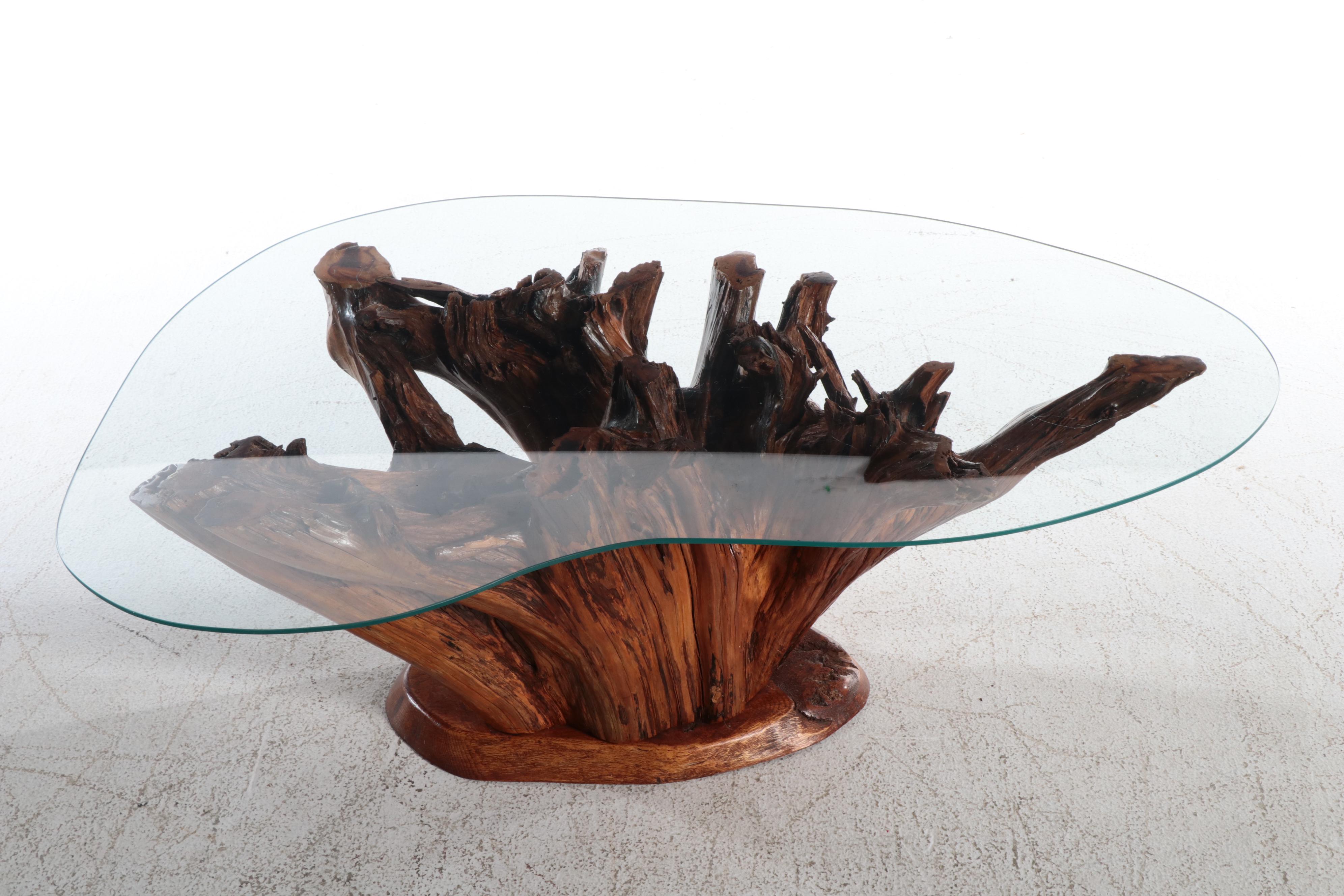 Modern Cypress Root and Glass Top Naturalistic Coffee Table | EBTH