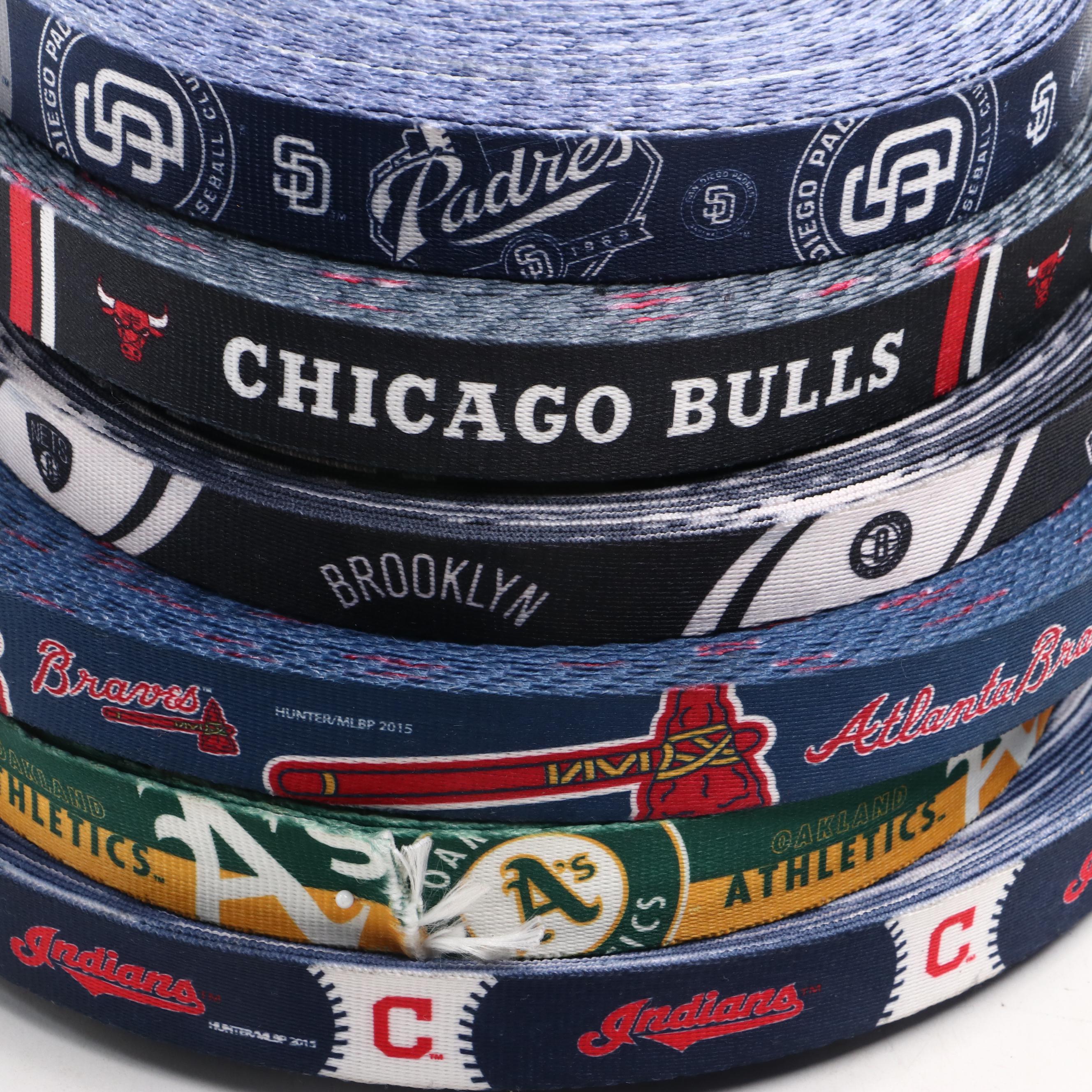 Chicago Bulls, San Diego Padres, Atlanta Braves, and More Sports Themed ...