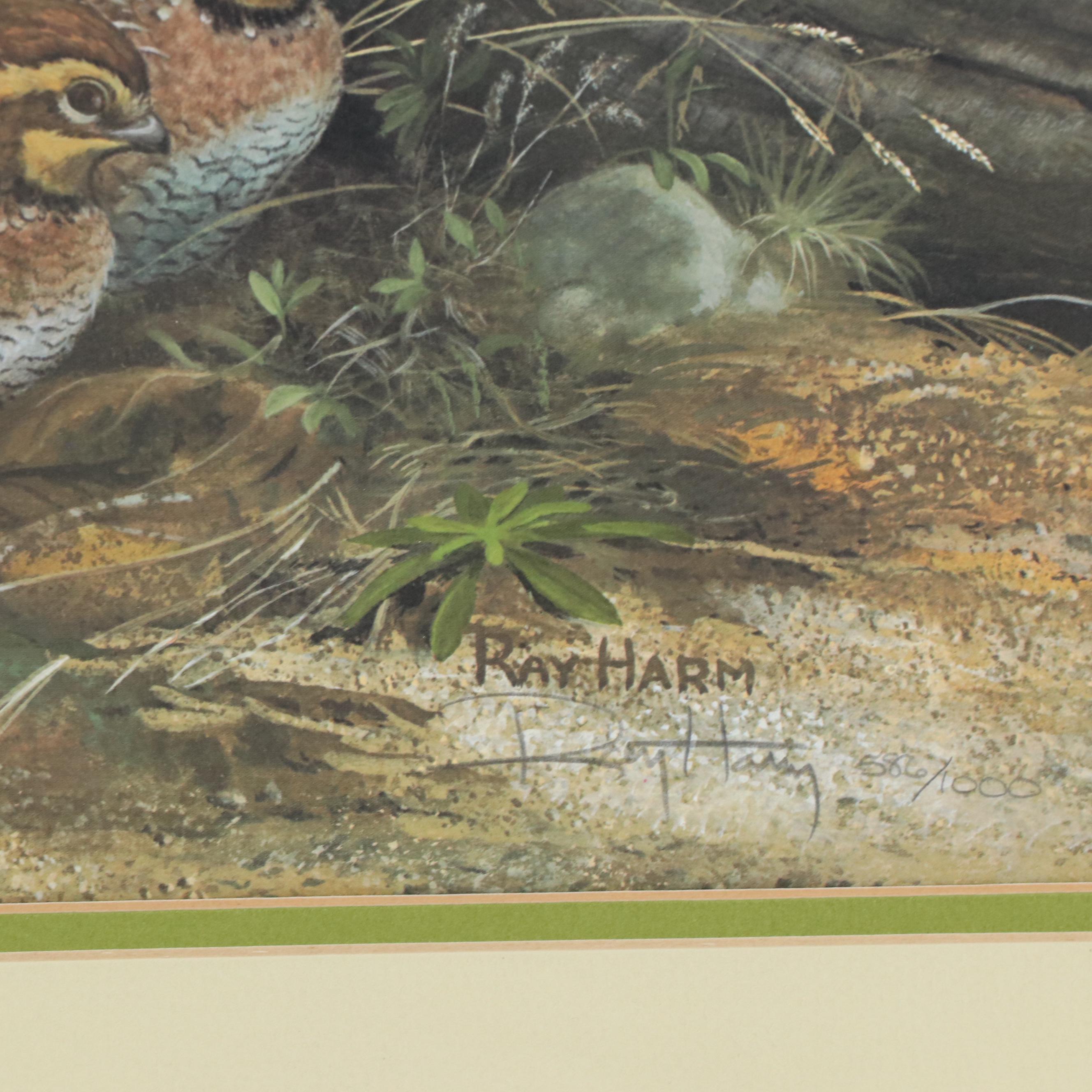 Ray Harm Offset Lithograph "Bobwhite Covey Circle," 1982 | EBTH