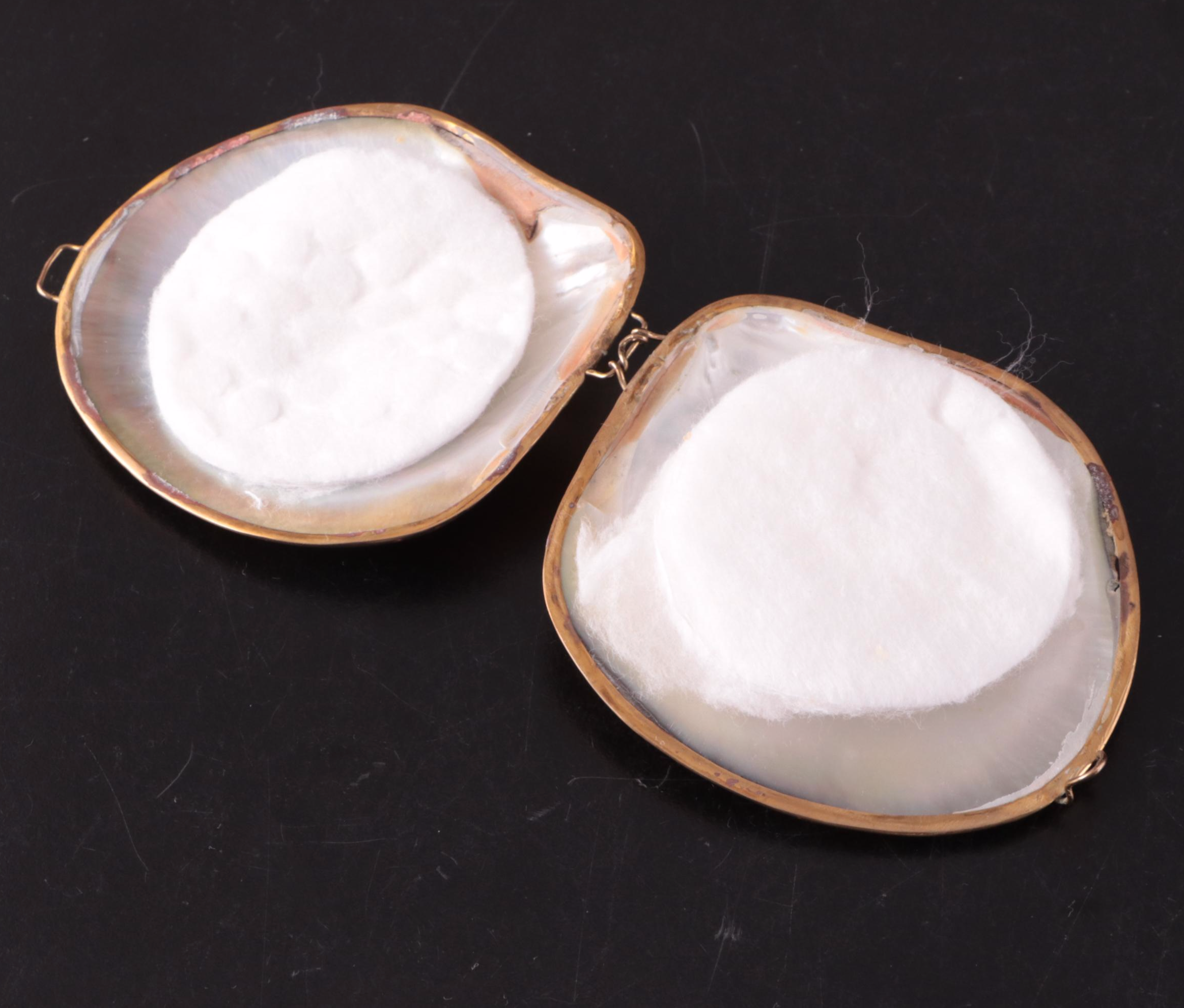 Cowrie, Polished Limpet, and Mother of Pearl Hinged Boxes | Everything ...