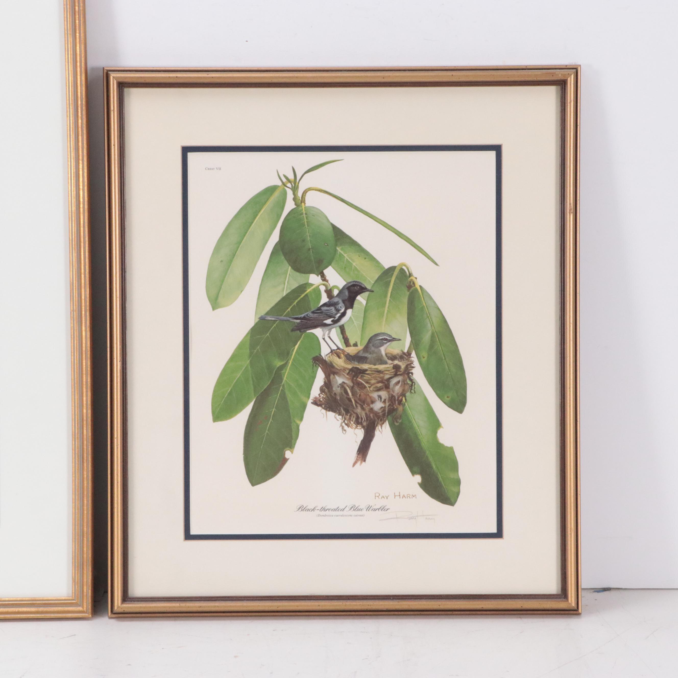 Ray Harm Offset Prints of Birds | EBTH